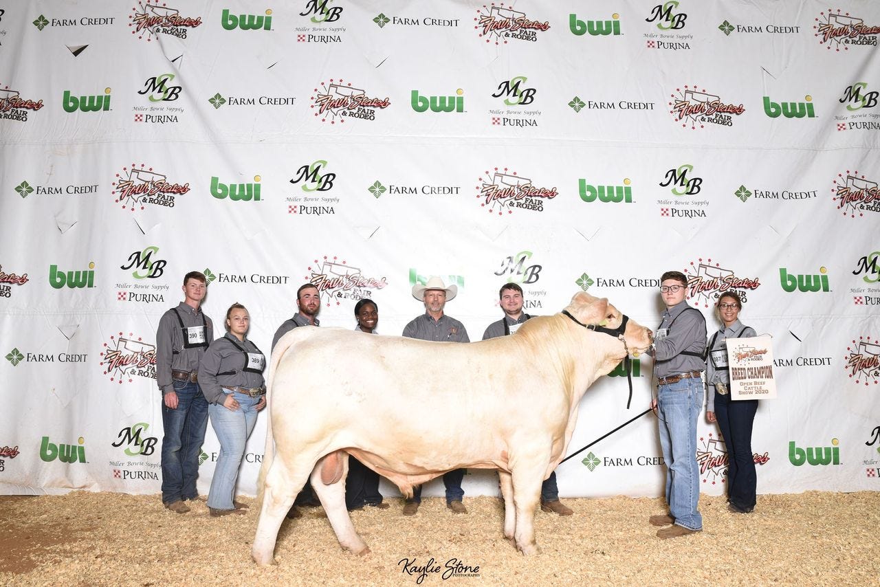TVCC Beef Cattle Show Team Wins Big