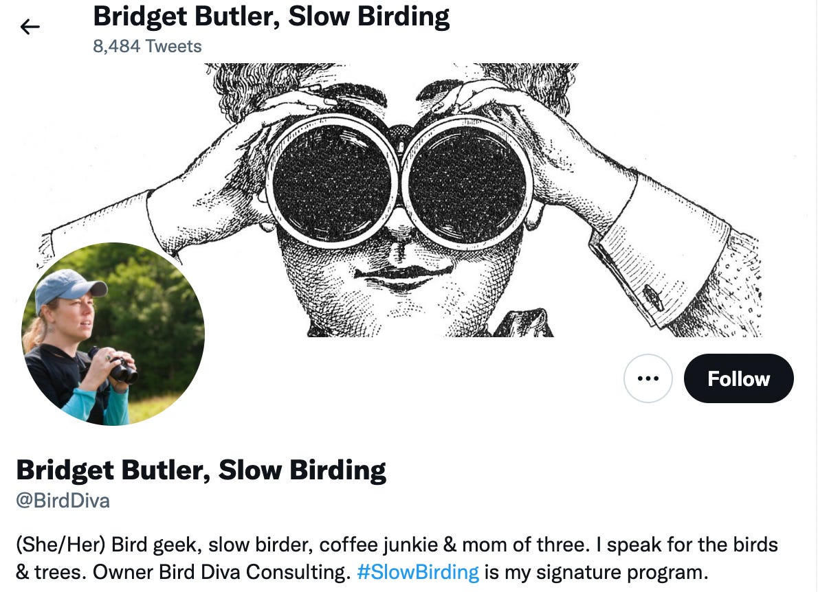 Slow Birding: Interview with Bridget Butler