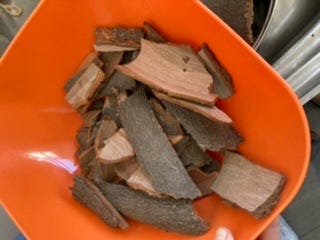 Boldo and Peumo: dye plants from native forest