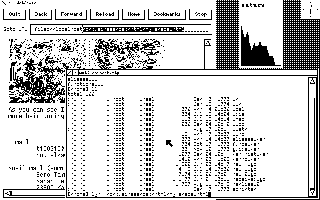 W: The Window System before X... that nobody seems to remember