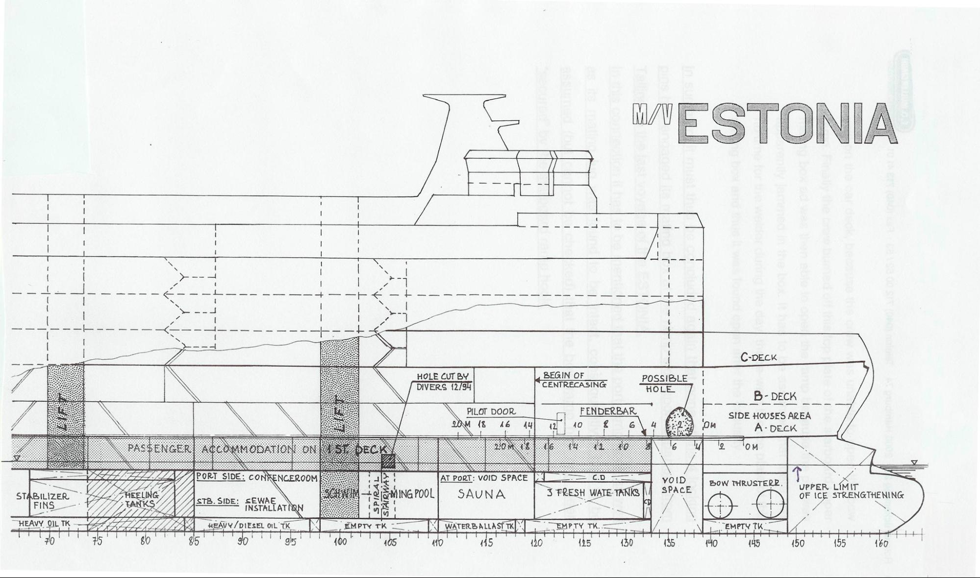MS Estonia - Part 1 - by professional hog groomer