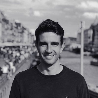 Dino Becirovic | Substack