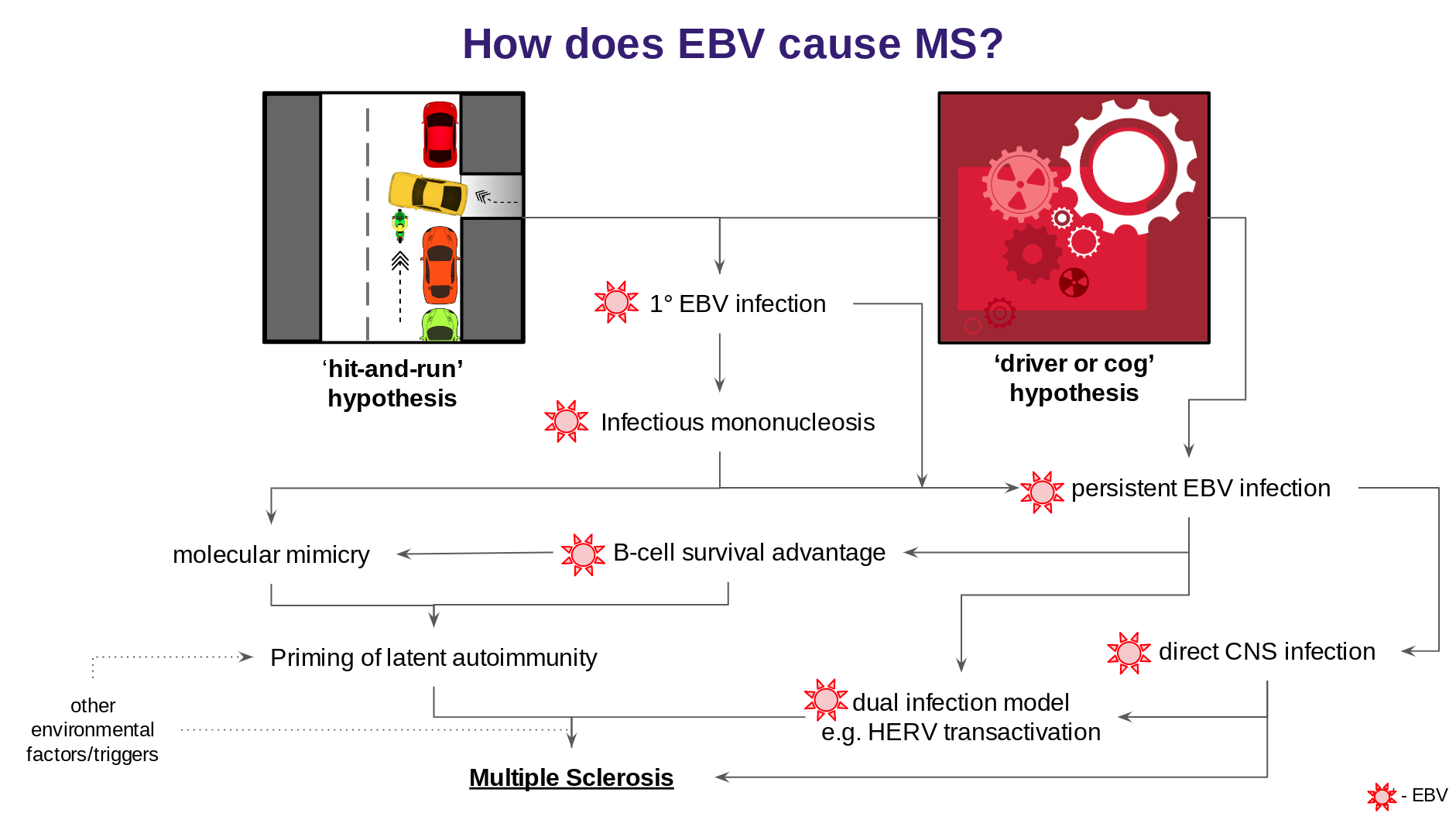 Will an EBV vaccine work? - by Gavin Giovannoni - MS-Selfie