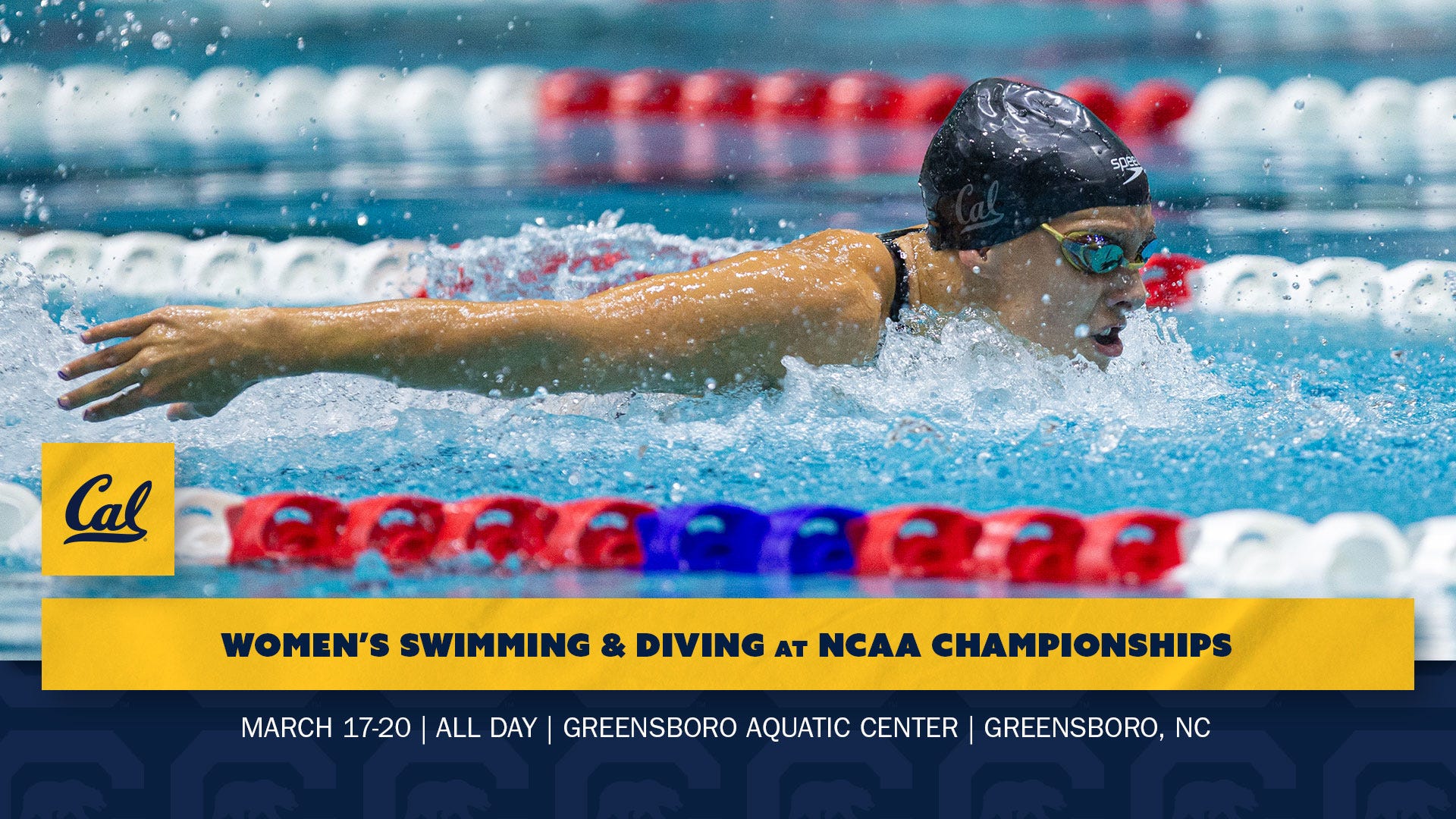 Live Updates: Cal Women's Swimming and Diving in the Hunt for a ...