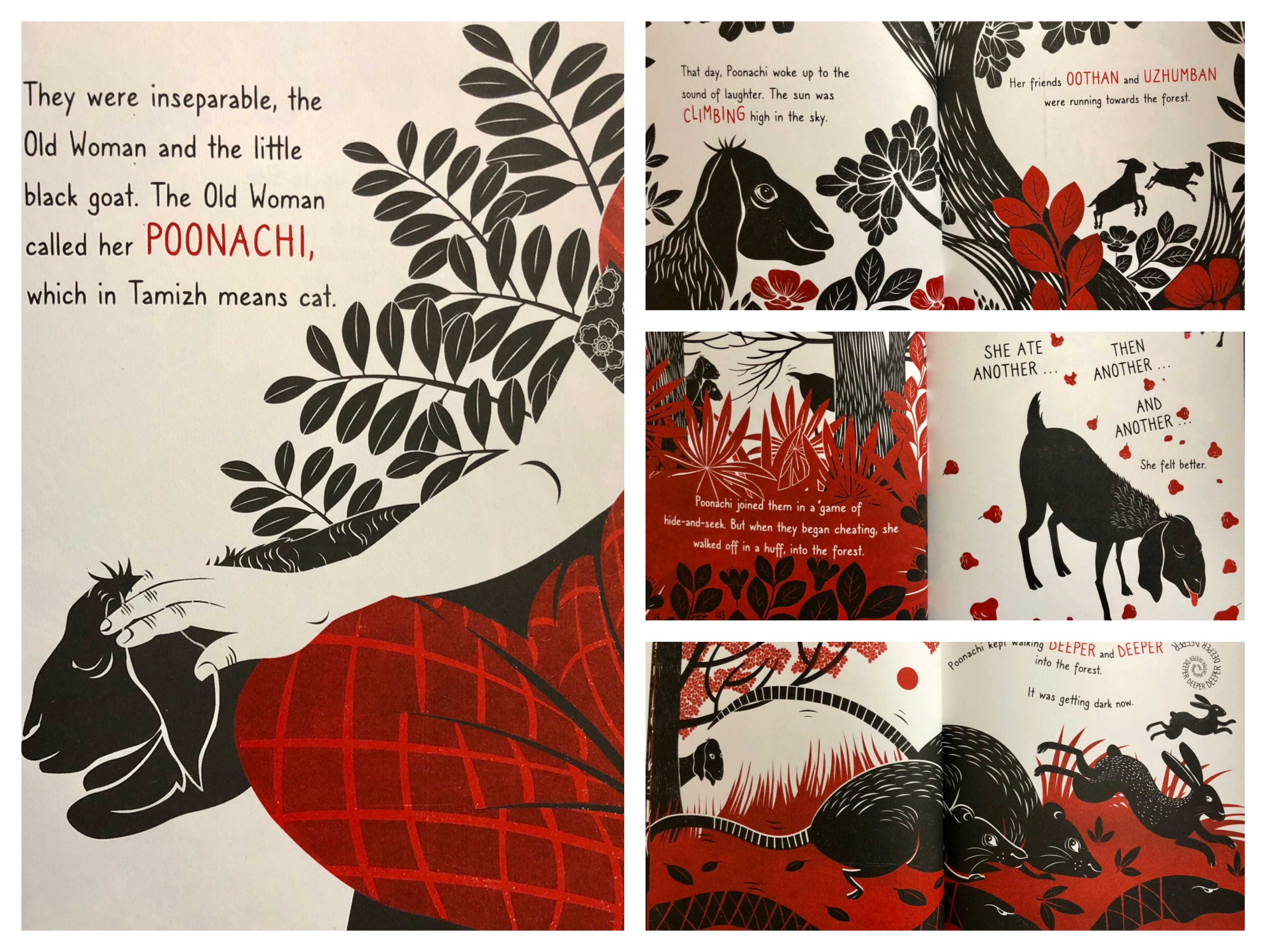 Poonachi Lost in the Forest - by Roopa Baliga