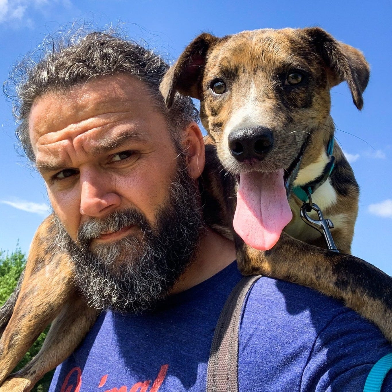 James Collier | Substack