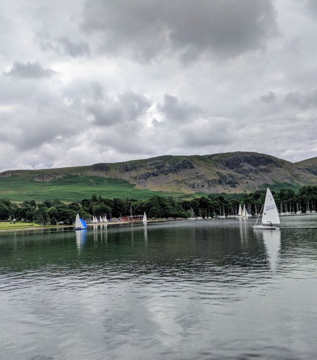 The Rogue Eyebrow #32: Summer Edition - by Paul&Divya