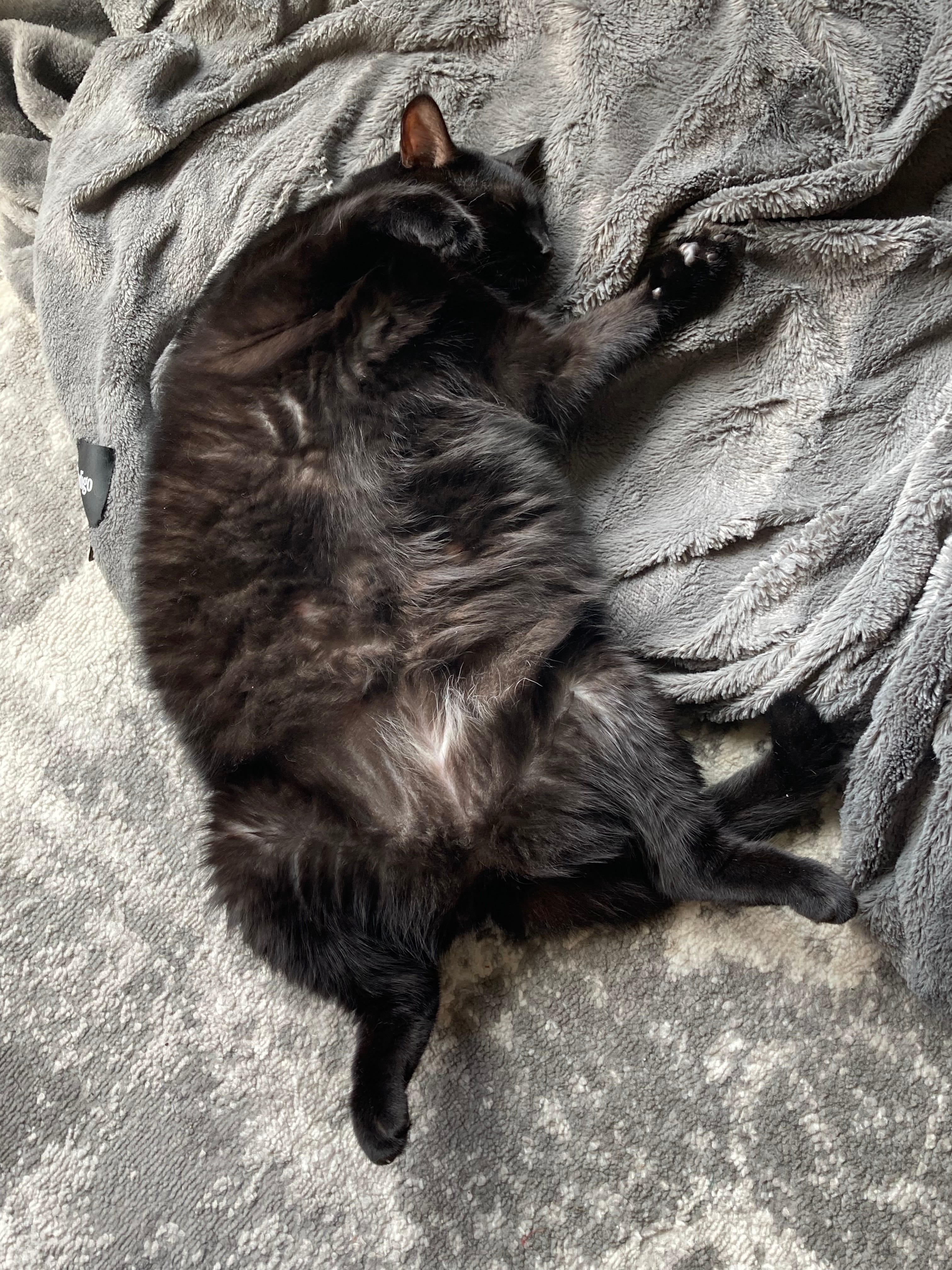 Oh, hi - by Anam Latif - Anam’s Substack