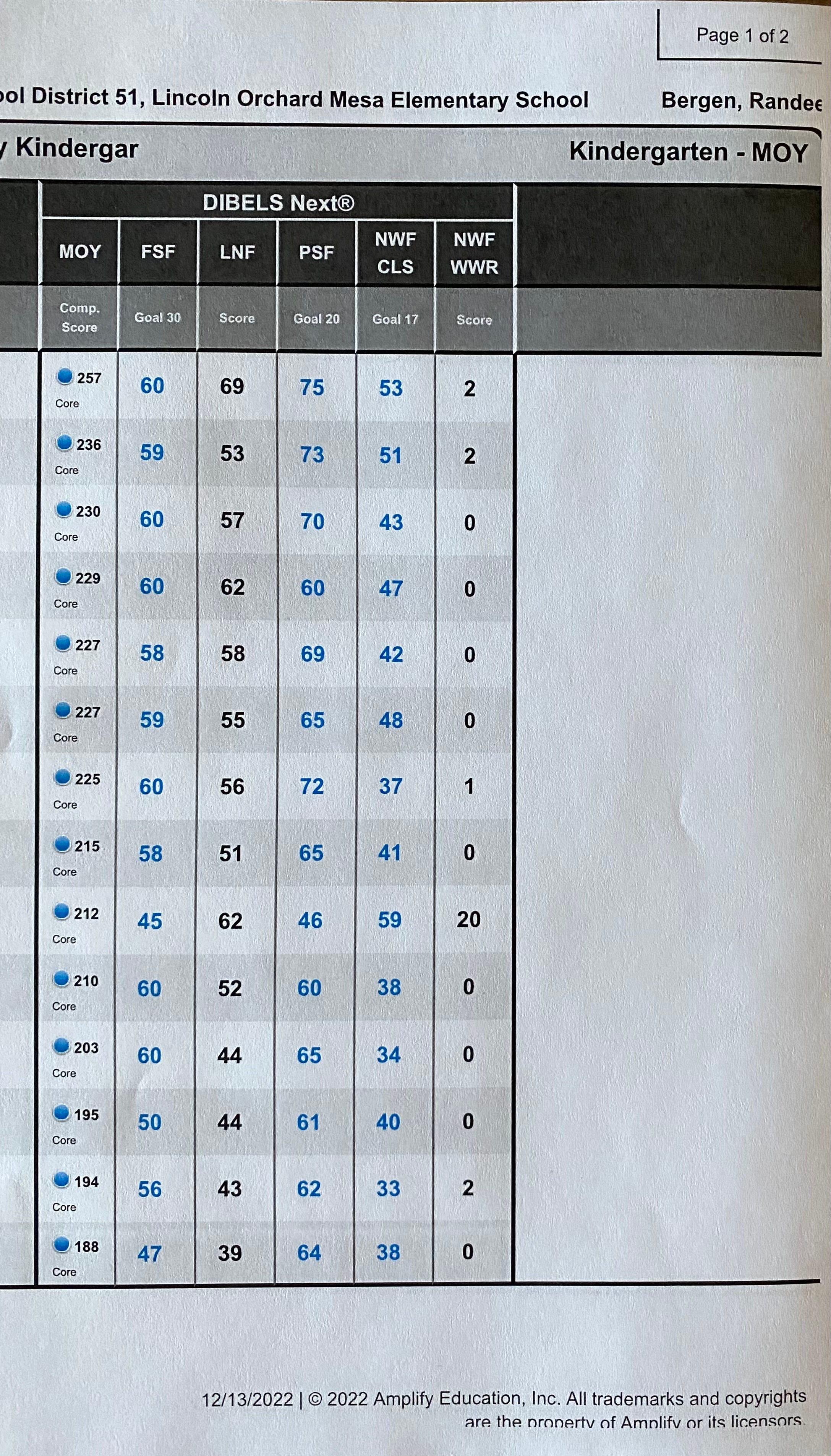 27 of 28 At or Above Level on Mid-Year DIBELS