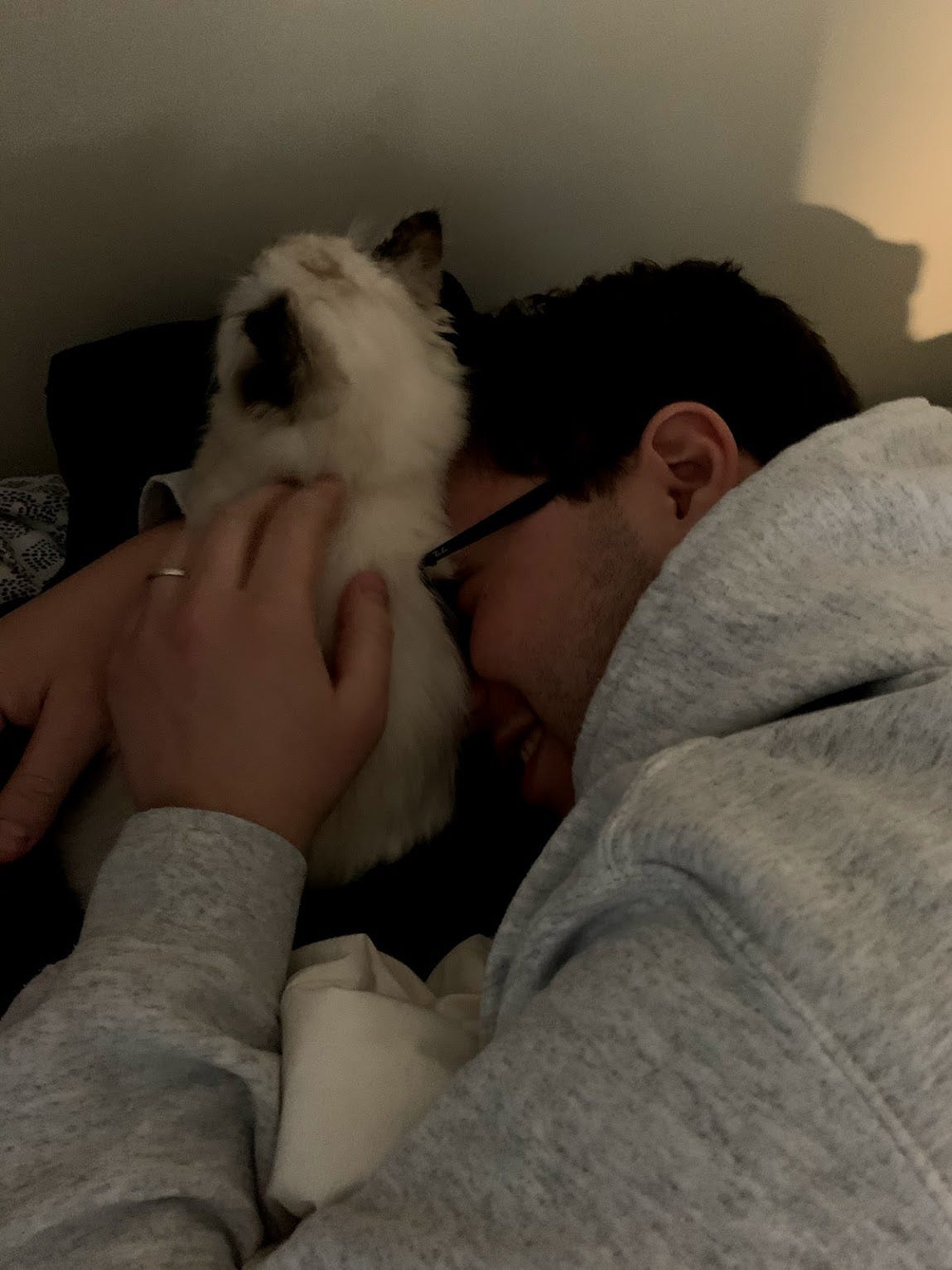 Northeast | Faye | Substack