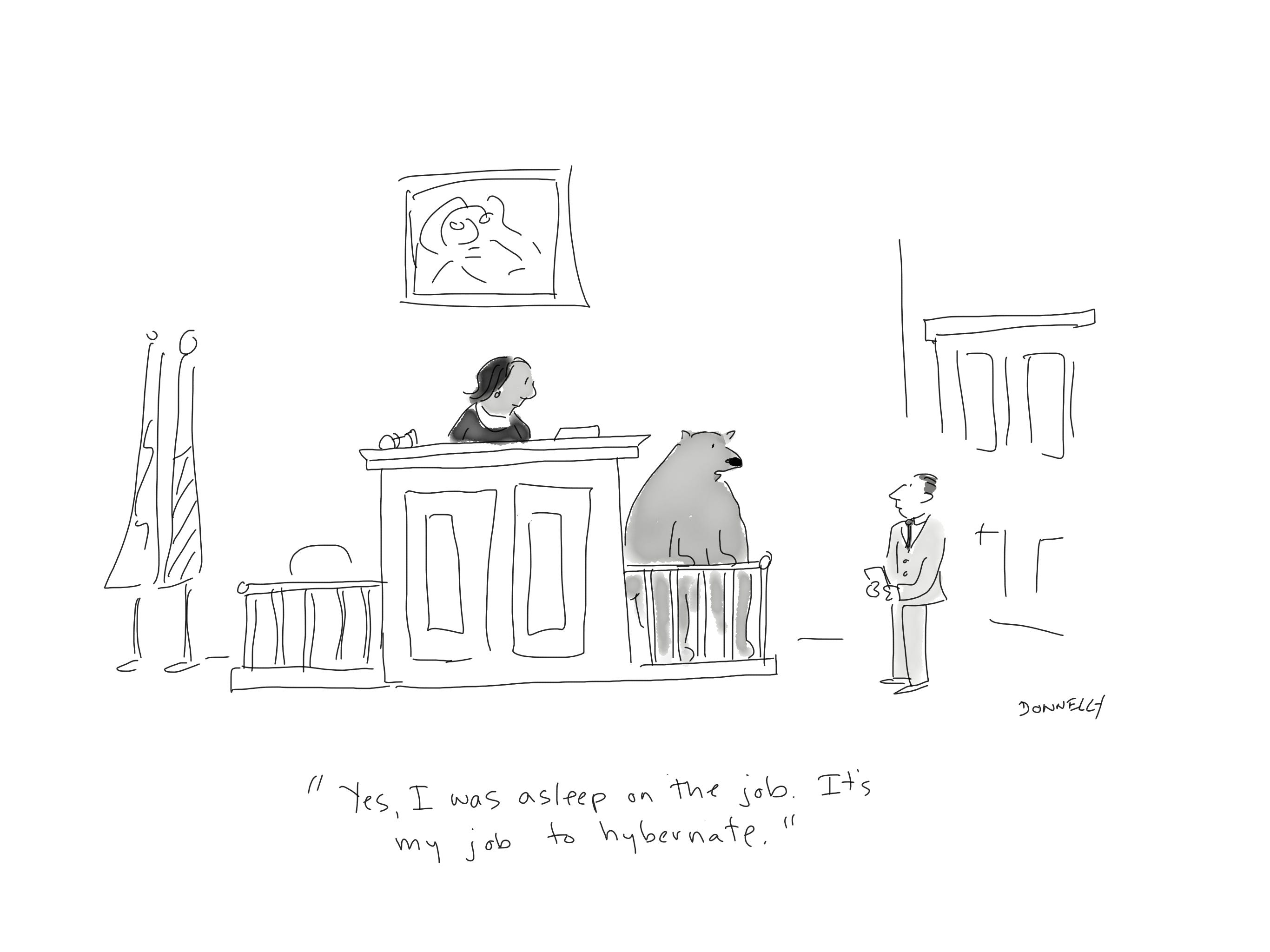Cartoons Each Week - by Liza Donnelly - Seeing Things