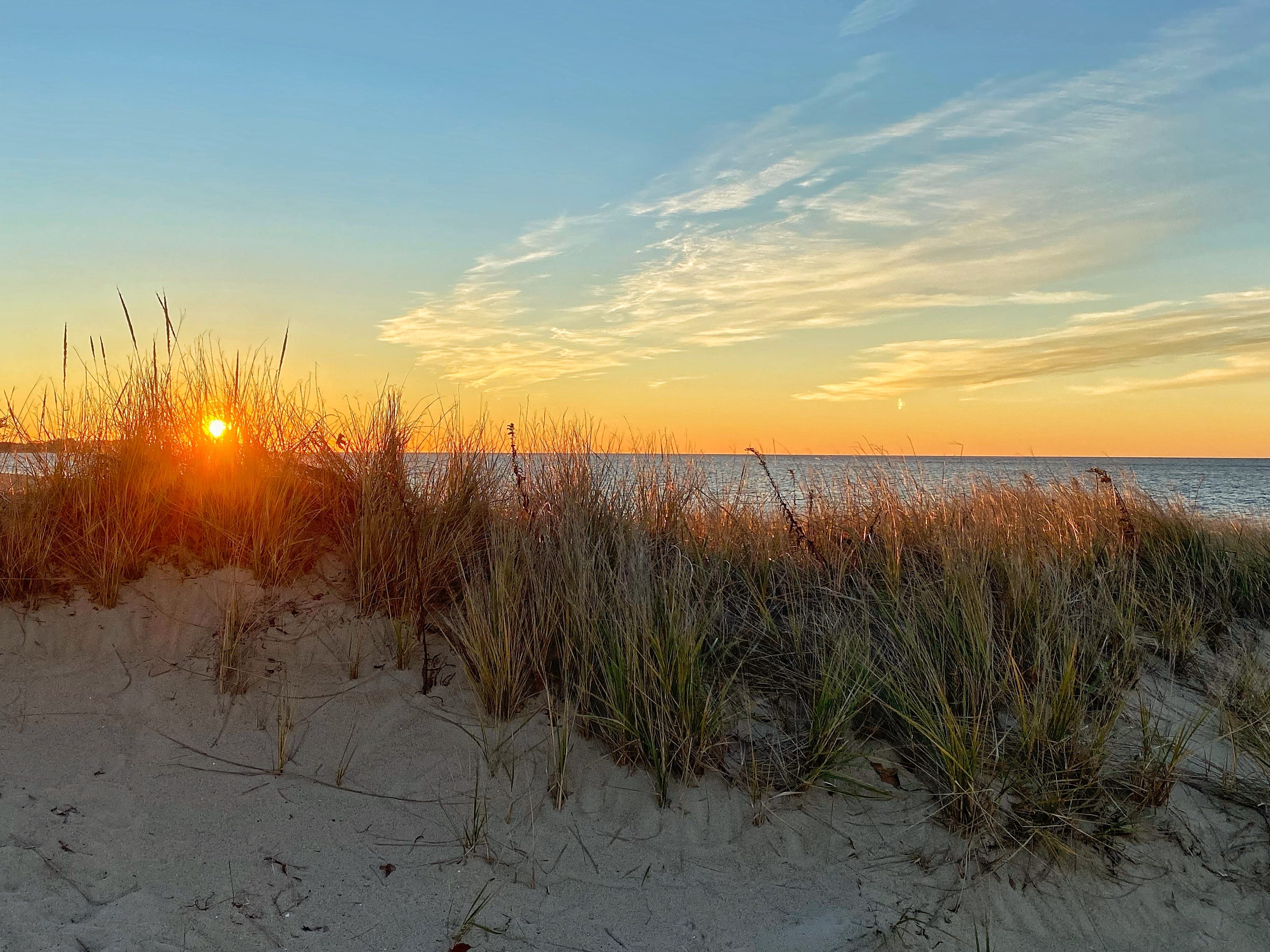 Cape Cod Christmas Postcards - Tom Ryan, Author