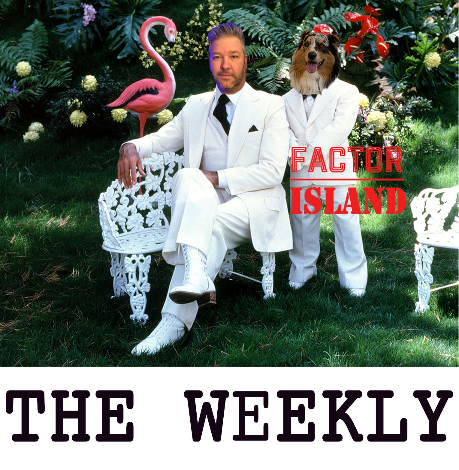 THE WEEKLY - Factor Island