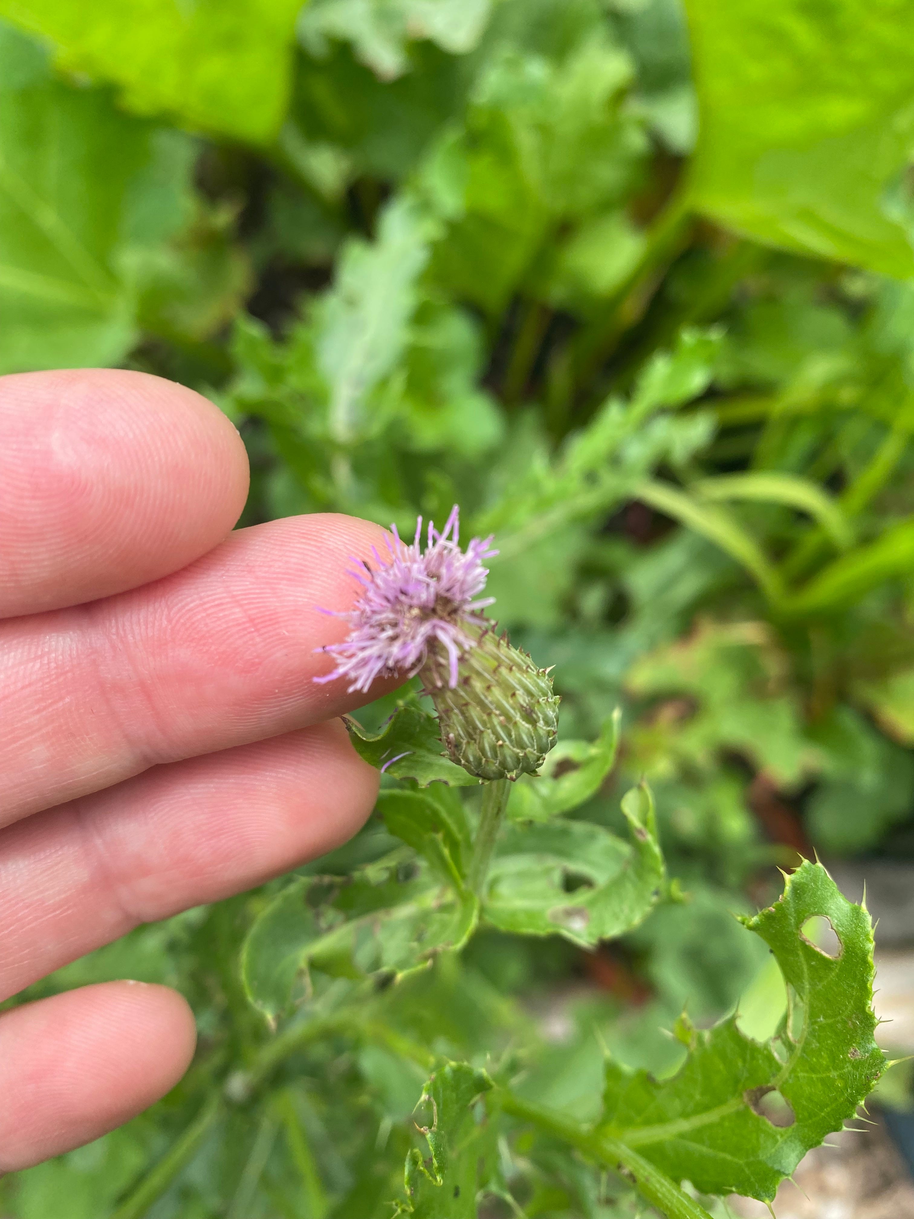 Grace Yoder - Beyond with Jane Ratcliffe