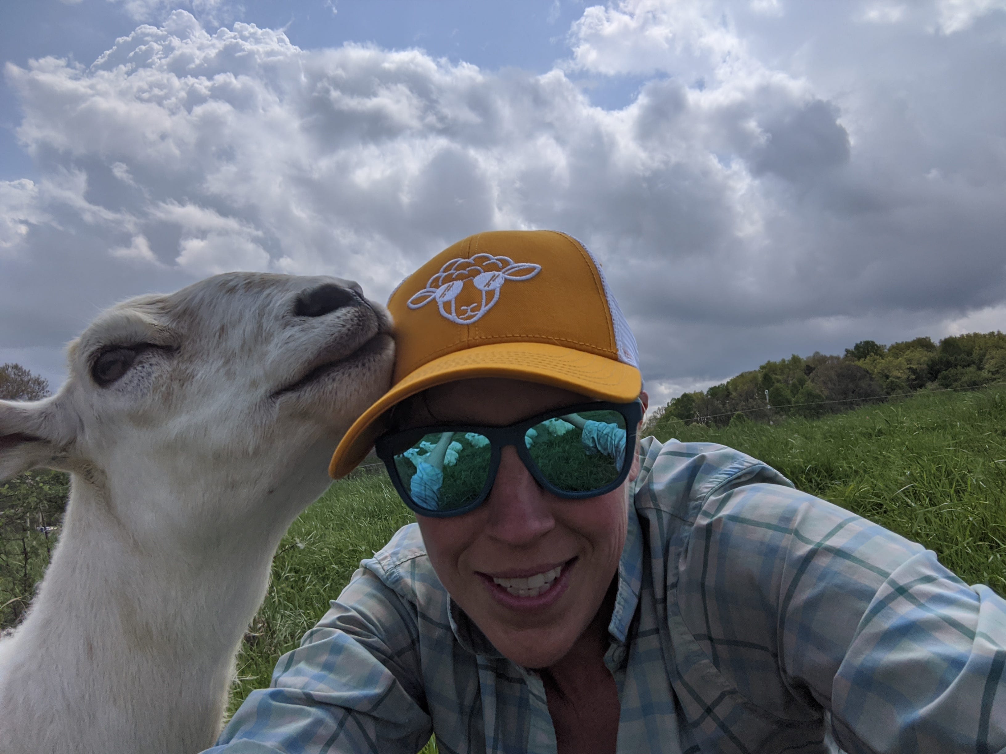 Some Egg-cellent Advice - by AC Shilton