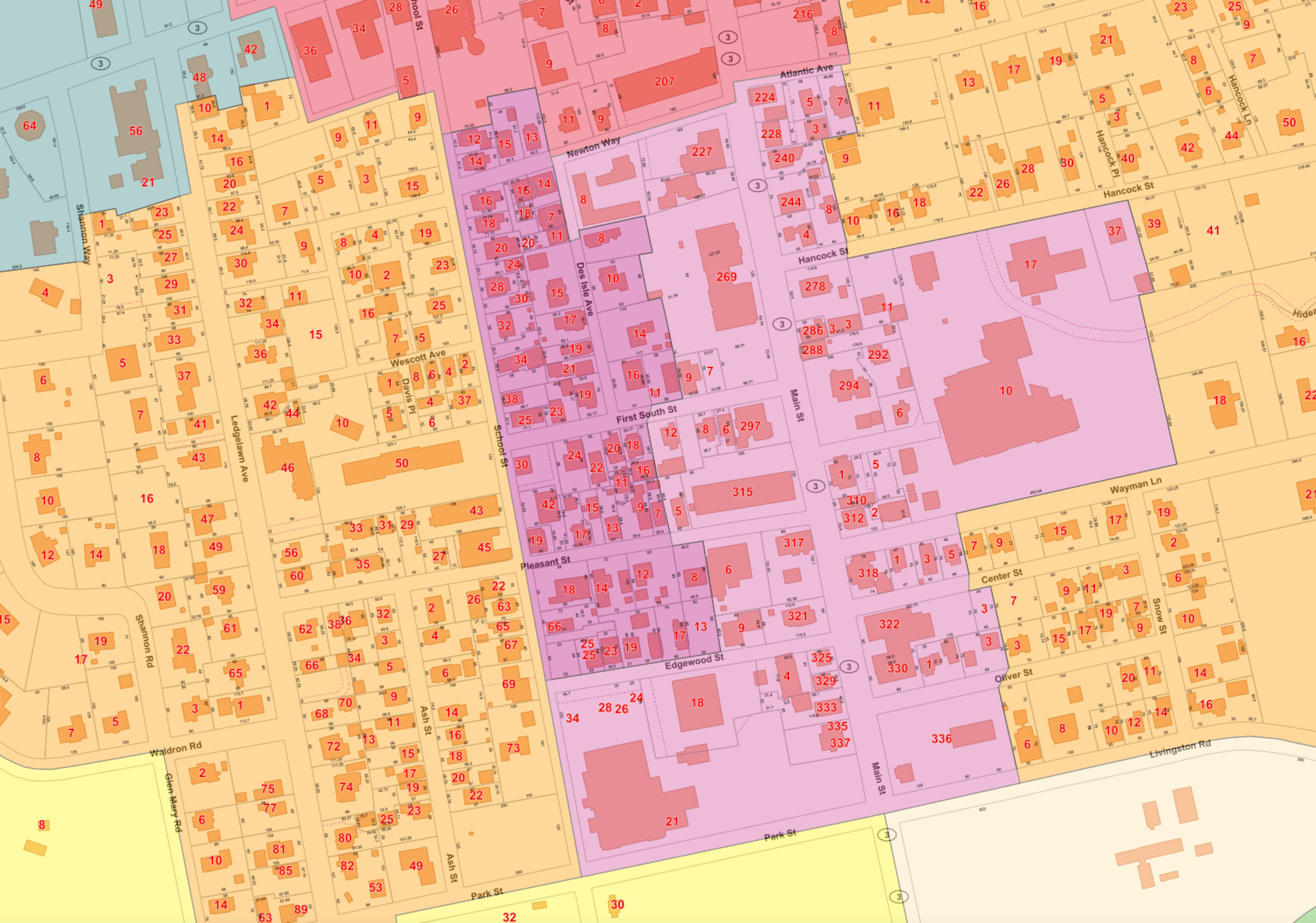FLOWER TO THE PEOPLE - by Carrie Jones - Bar Harbor Story