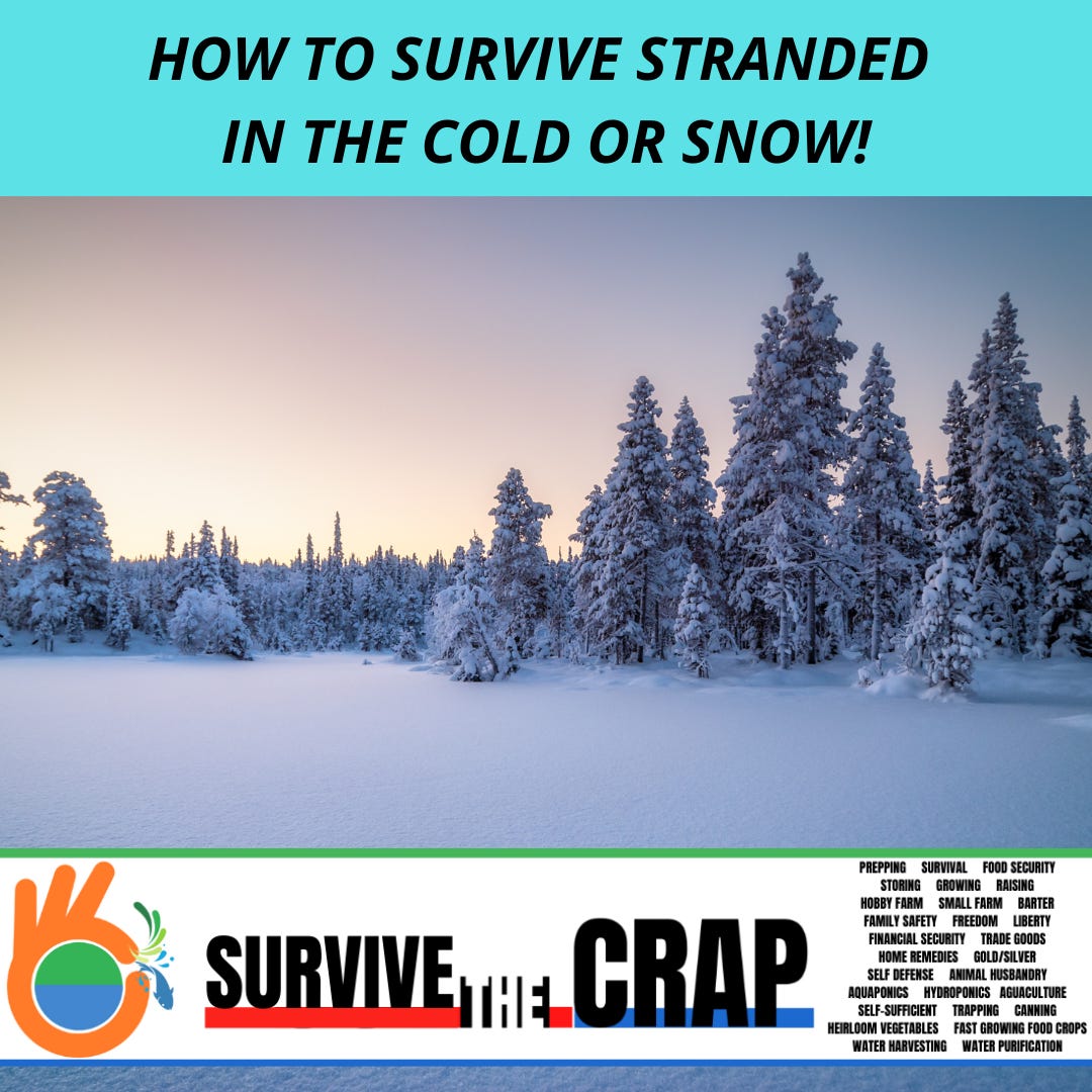 How To Survive Stranded In The Cold or Snow