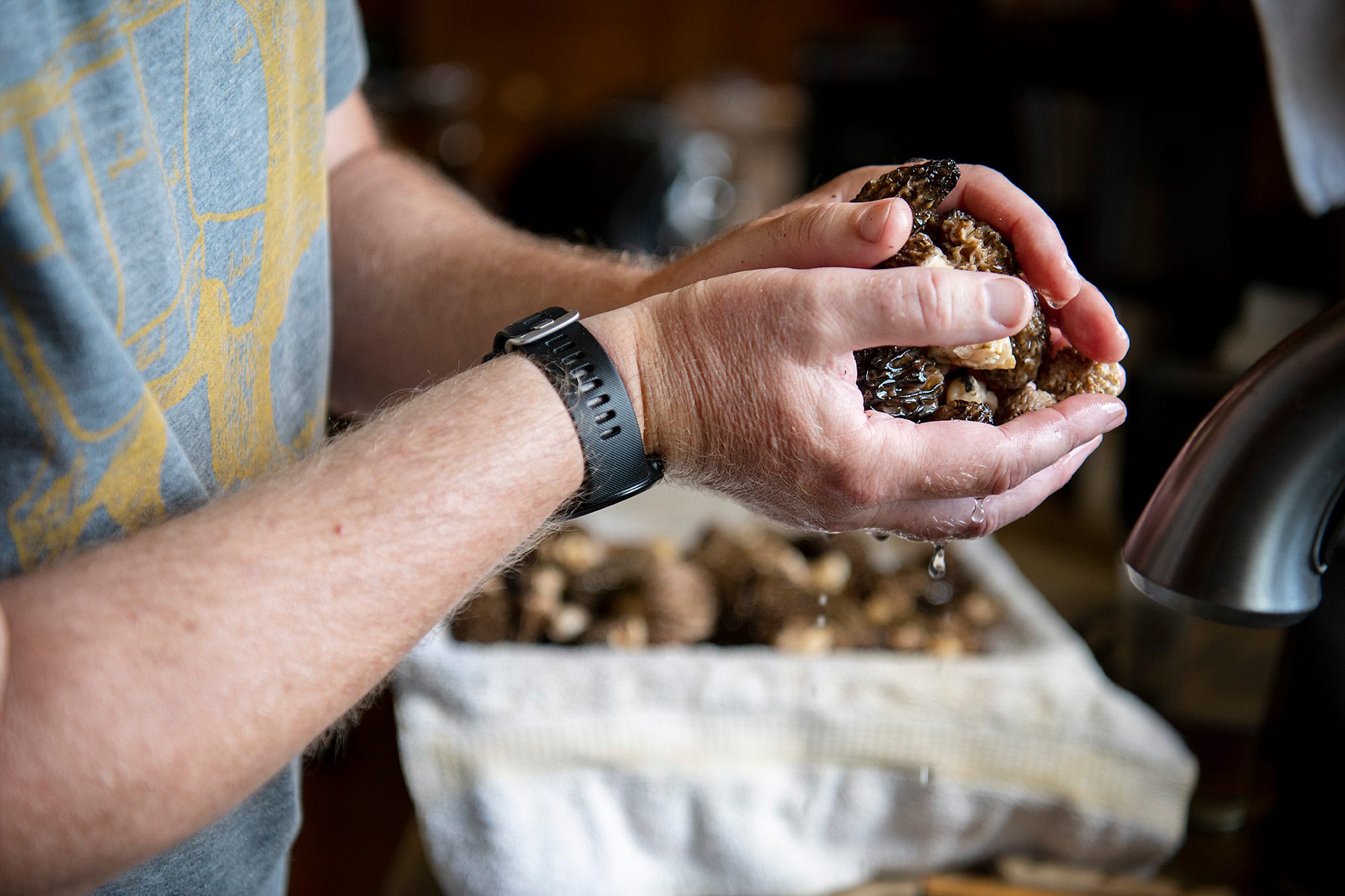 How-To: Scout and Hunt Burn Morels