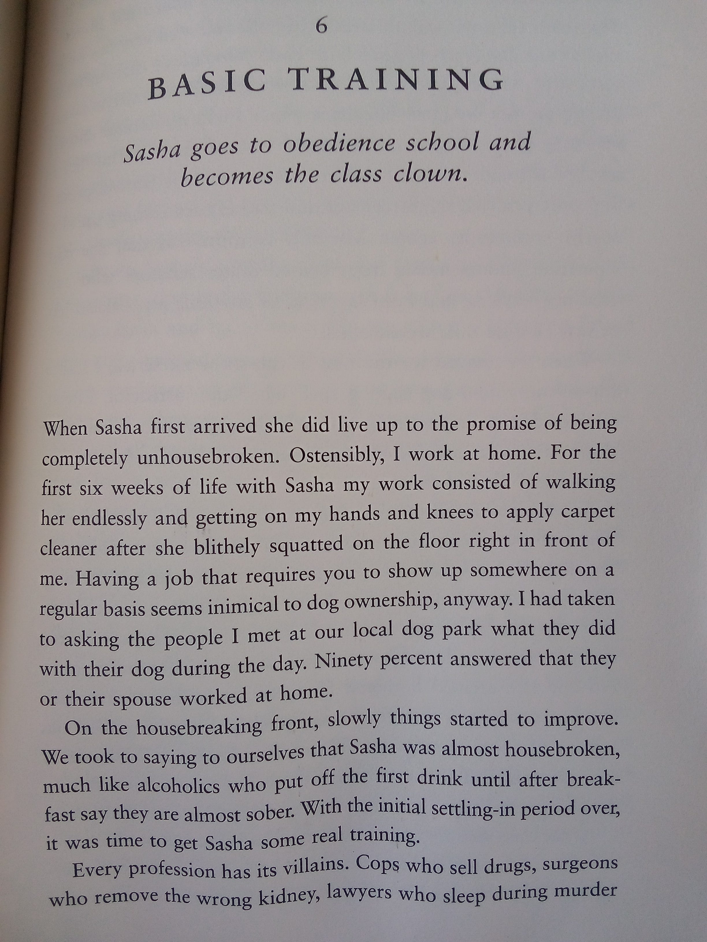 Book of the Day - "What the Dog Did: Tales from a Formerly Reluctant ...
