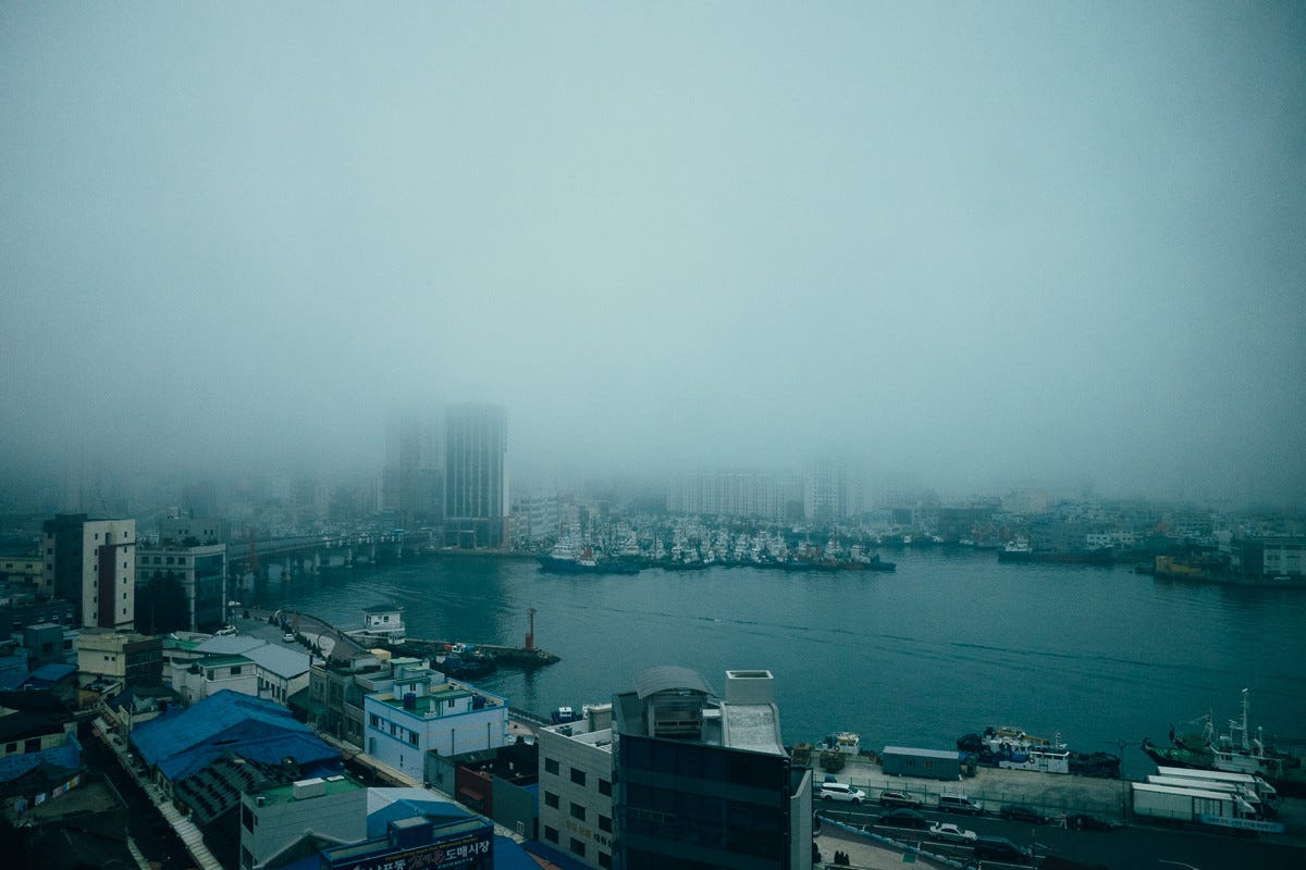 2021 - A Year In Review - by Matthew Martin - Endless Proof