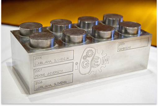 Ginkgo Bioworks: The Organism Company