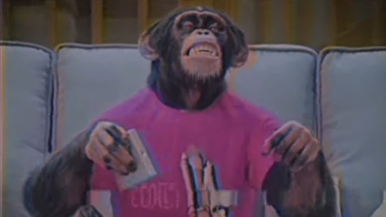 Experiencing the Horror of the Animal in Jordan Peele's "Nope"