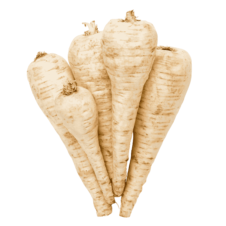 Frågelåda: Palsternacka vs persiljerot. Och varför smakar tillagad ...