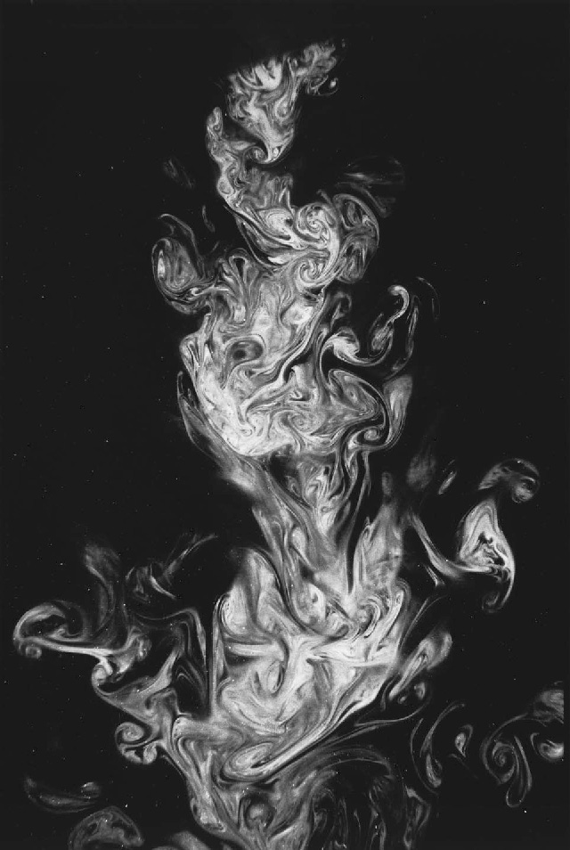 If We Die, We Want to Die Together - by Meg Conley