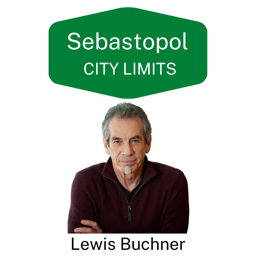 Woodworker & parent Lewis Buchner on running for WSCUHSD