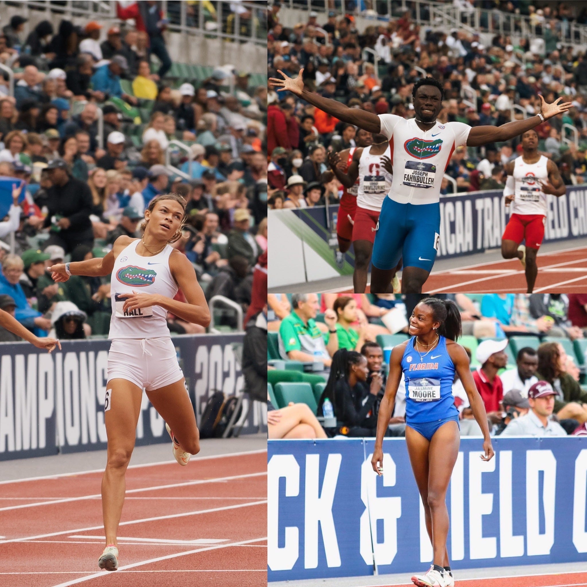 The Lap Count | Substack