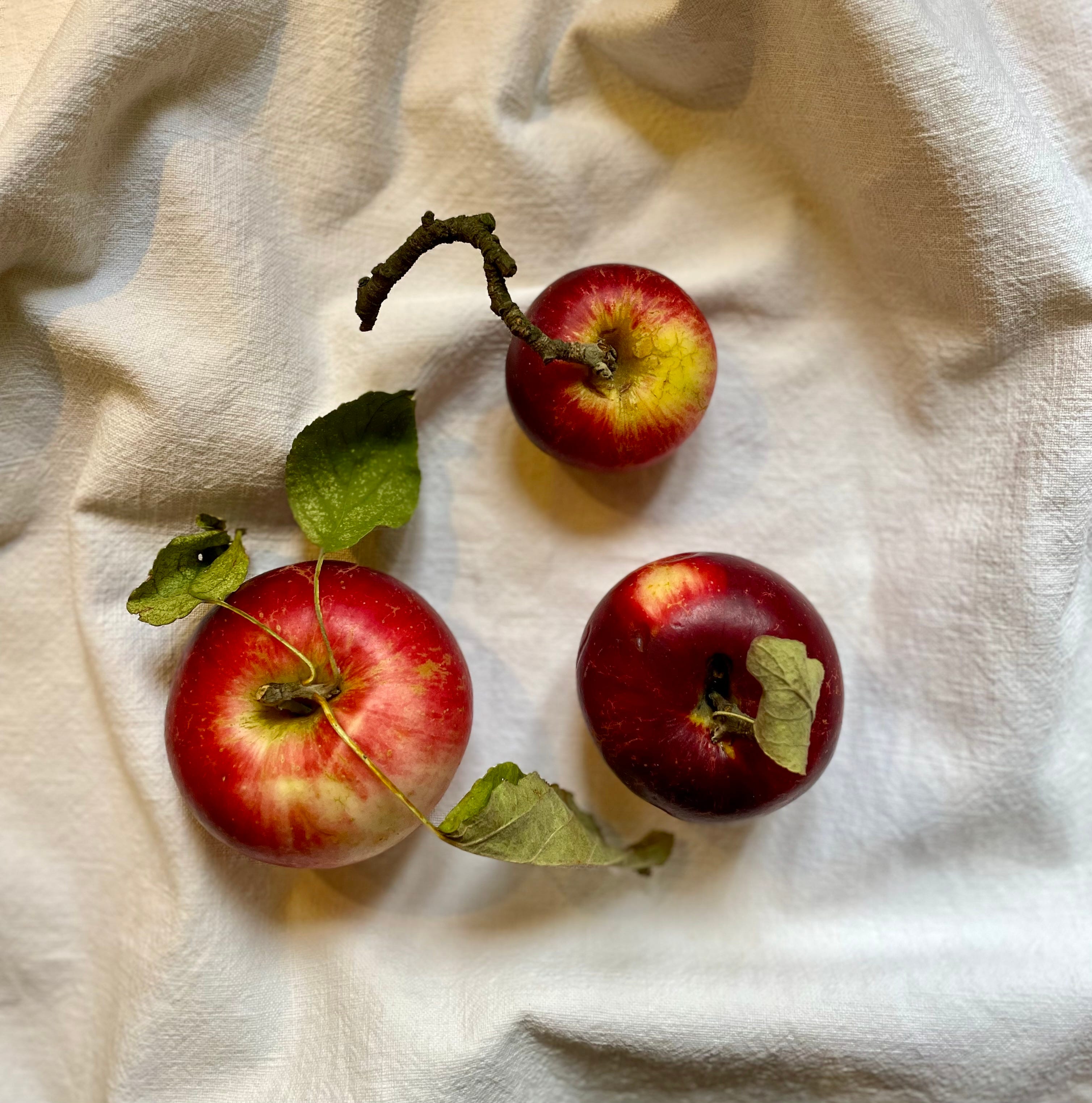 The Queen – Generational flavour – Is an apple the ultimate symbol of ...