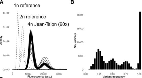 Genomics Can Teach Us About The History Of Beer Making