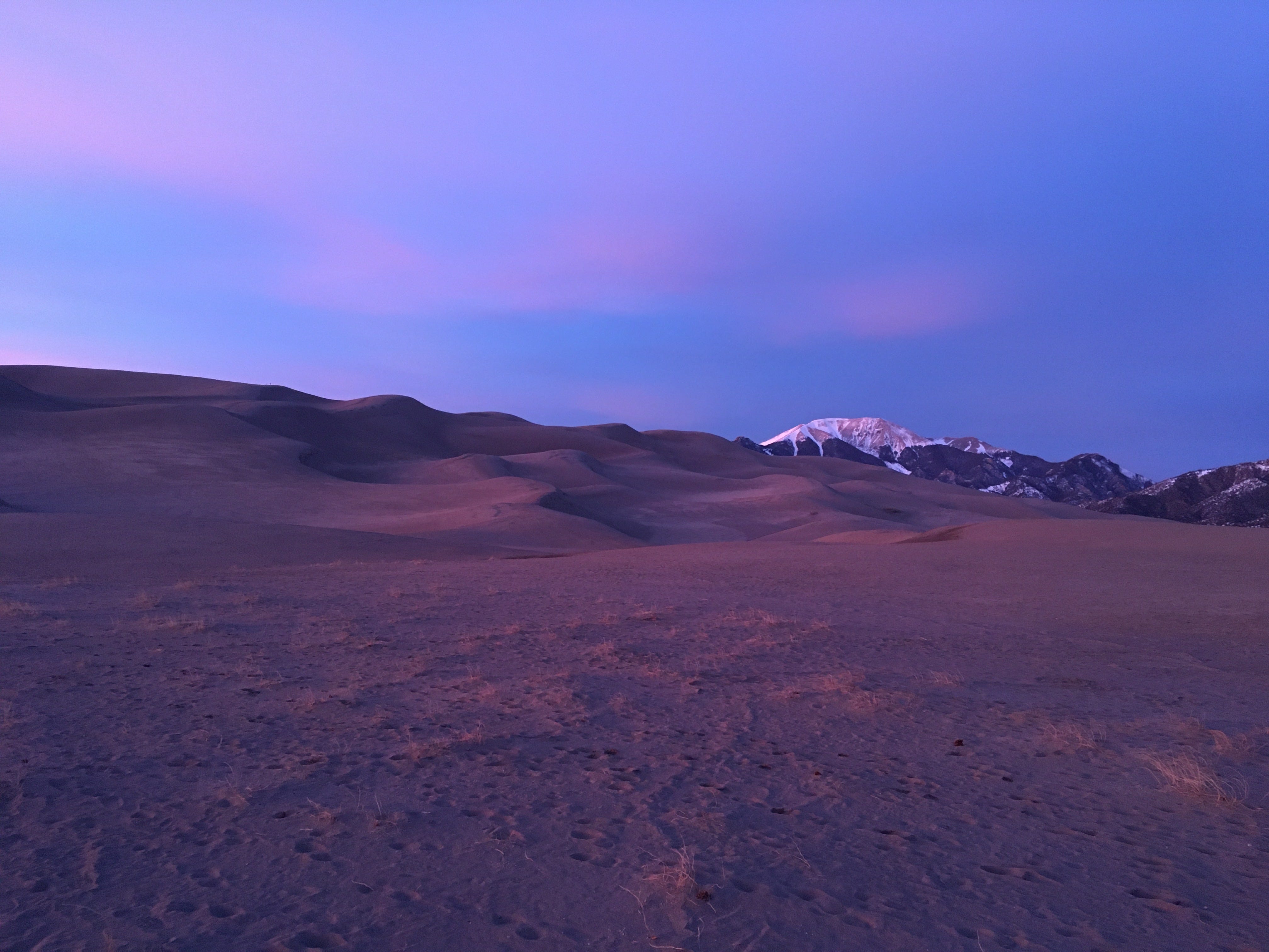 The Phantom Horses of the Great Sand Dunes