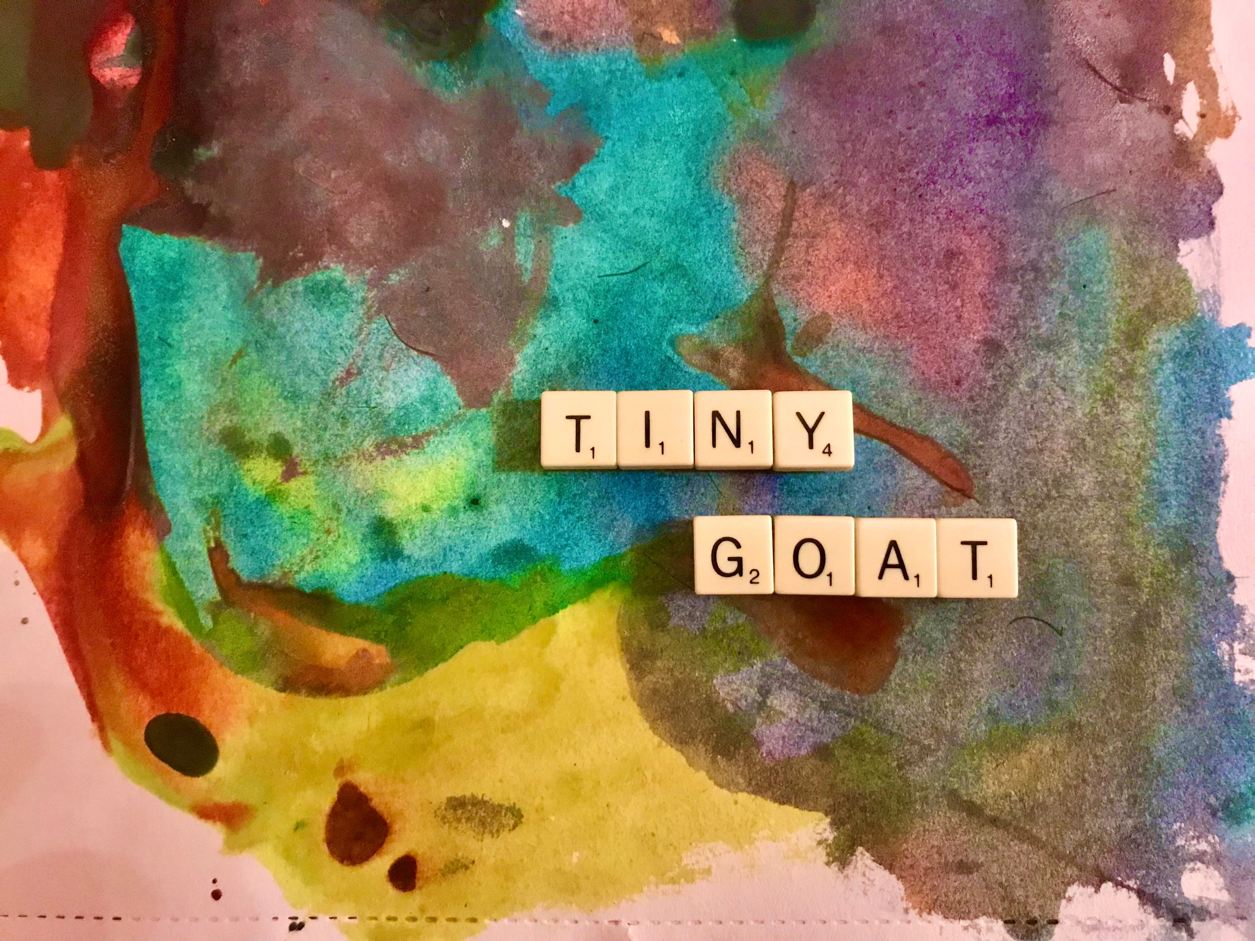 Welcome to Tiny Goat - by Sandra Barnidge - Tiny Goat