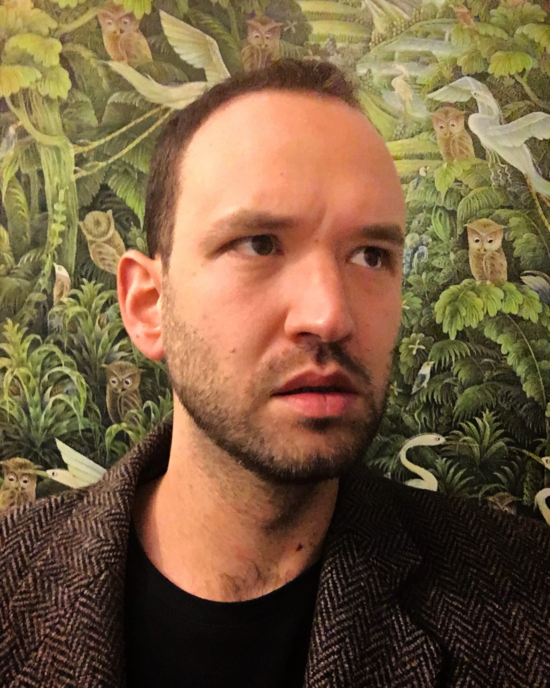 Sam Kriss | Substack