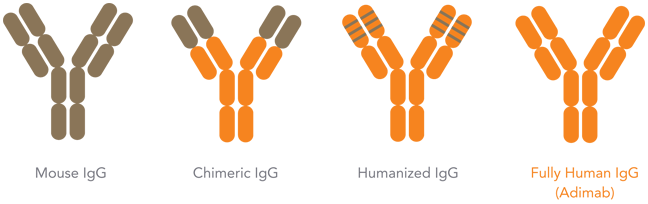Axial - Adimab - by Axial Sprawl - Axial