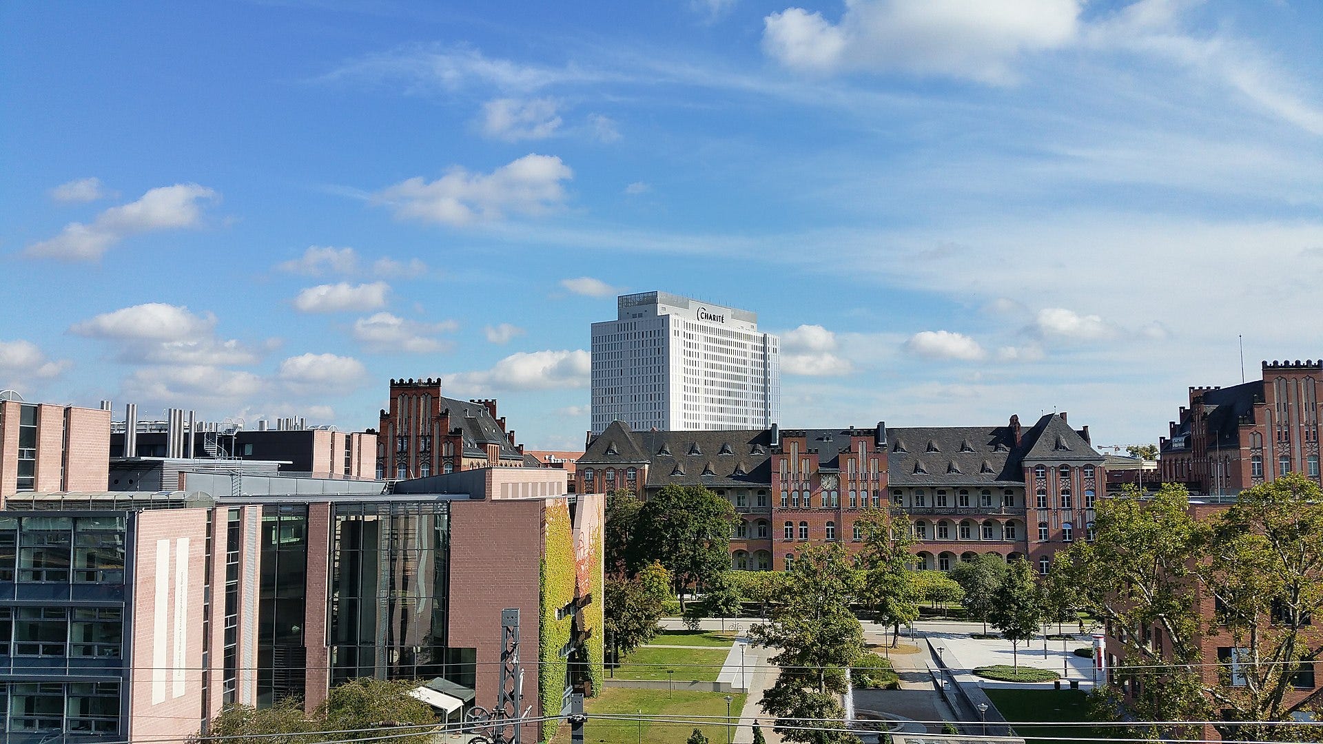 Germany's Top Hospital: Half A Million Germans Experienced Serious ...