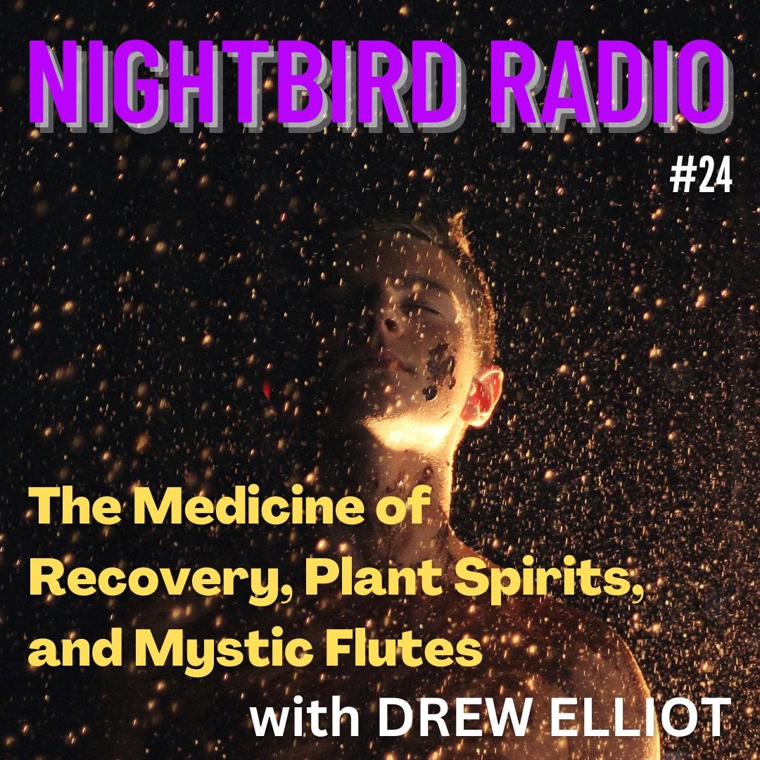 The Medicine of Recovery, Plant Spirits, and Mystic Flutes with Drew Elliot