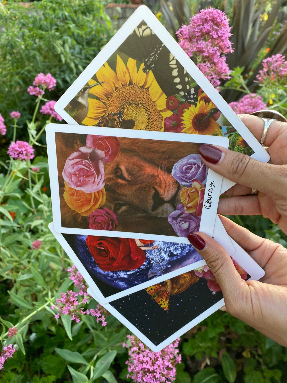 Collage artist and tarot deck creator Alejandra León on healing through ...