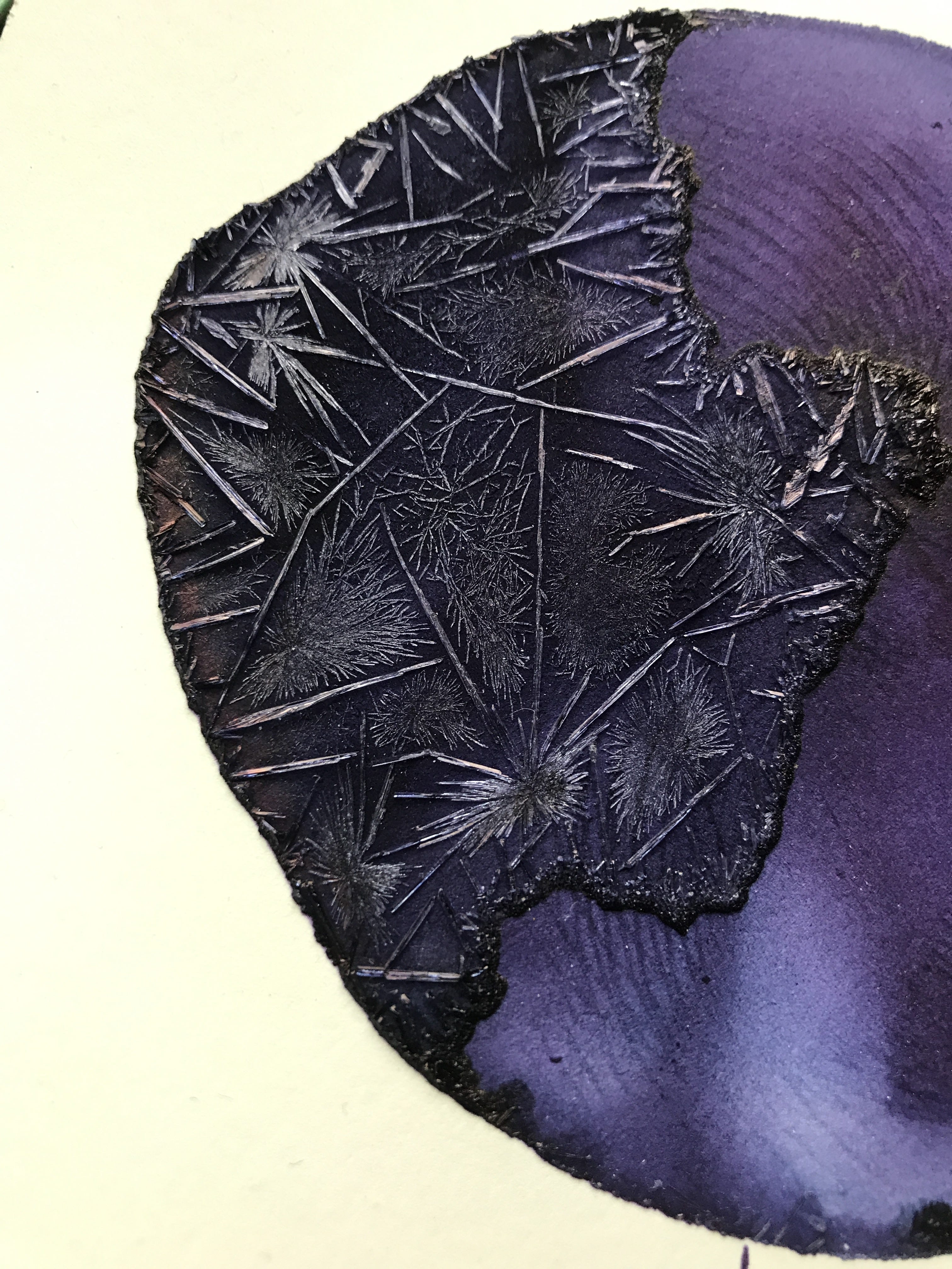 Wild Grapes - by Toronto Ink Company