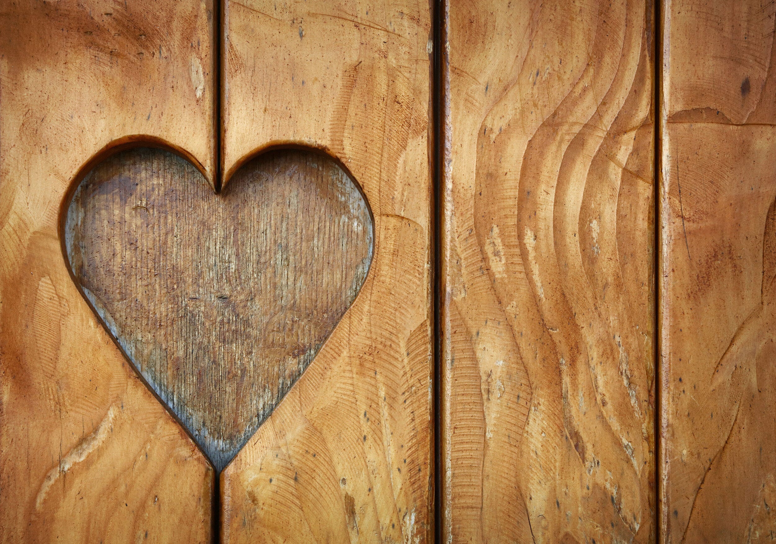 THE LOVE CHAPTER - by John Amato - John’s Newsletter