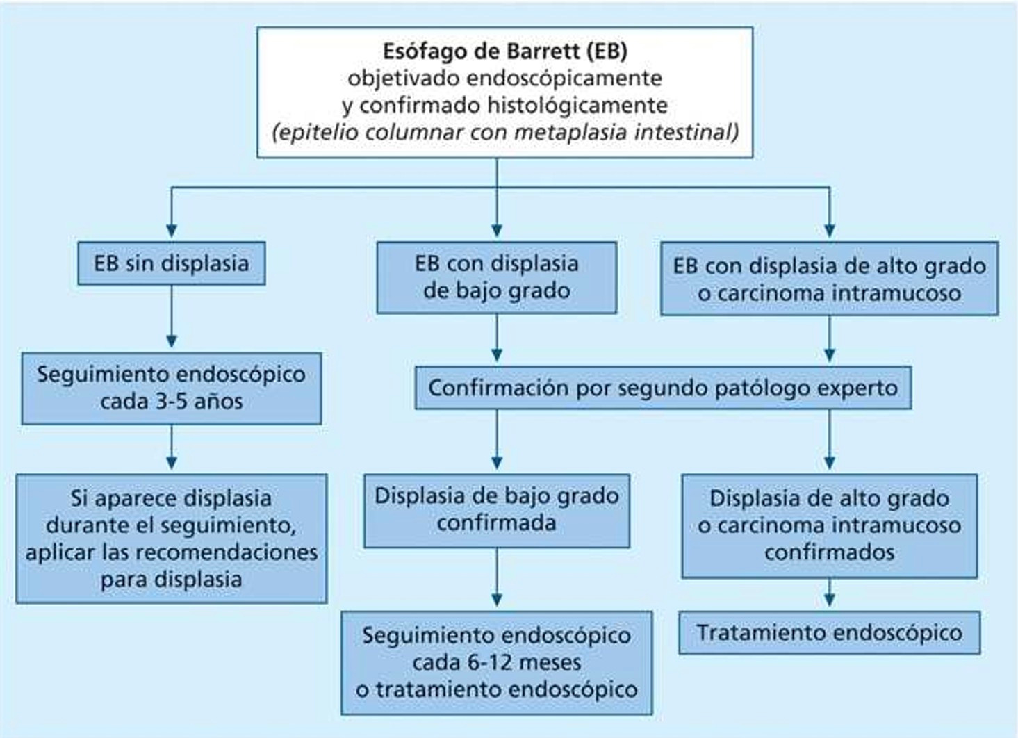 Enfermedades del esófago - by Harold Ferraz