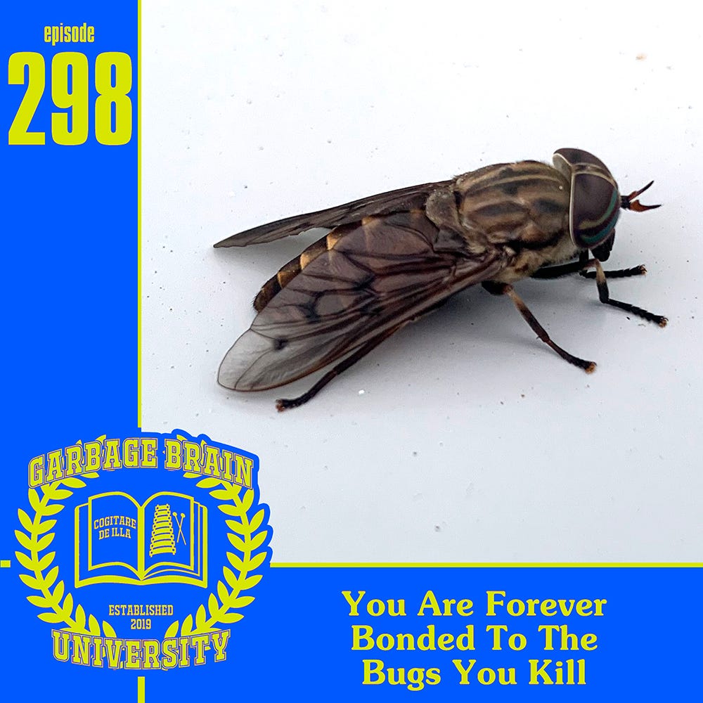 Garbage Brain University | drew toothpaste | Substack