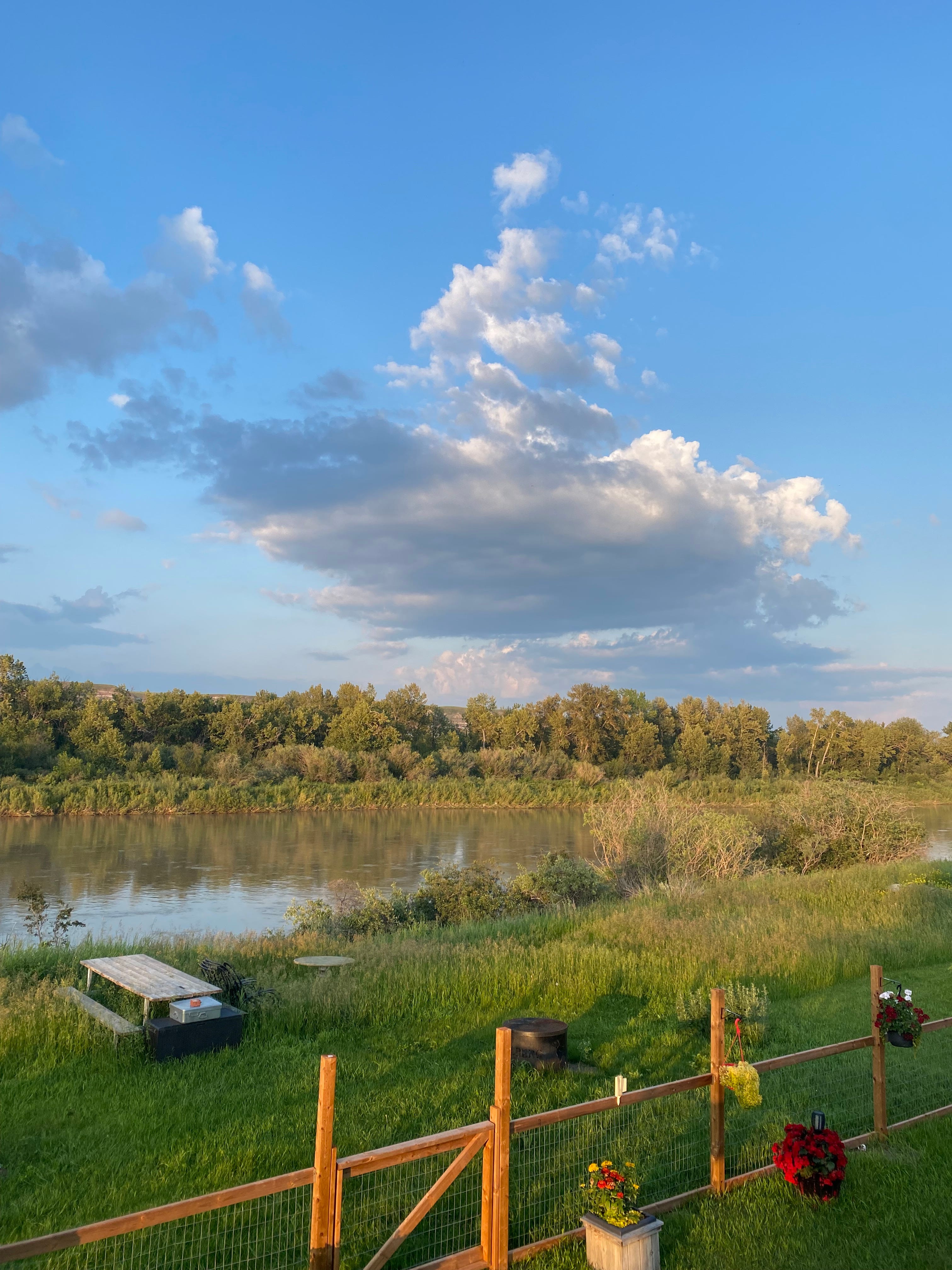 Field Notes - by Monte Solberg - Wonderstruck