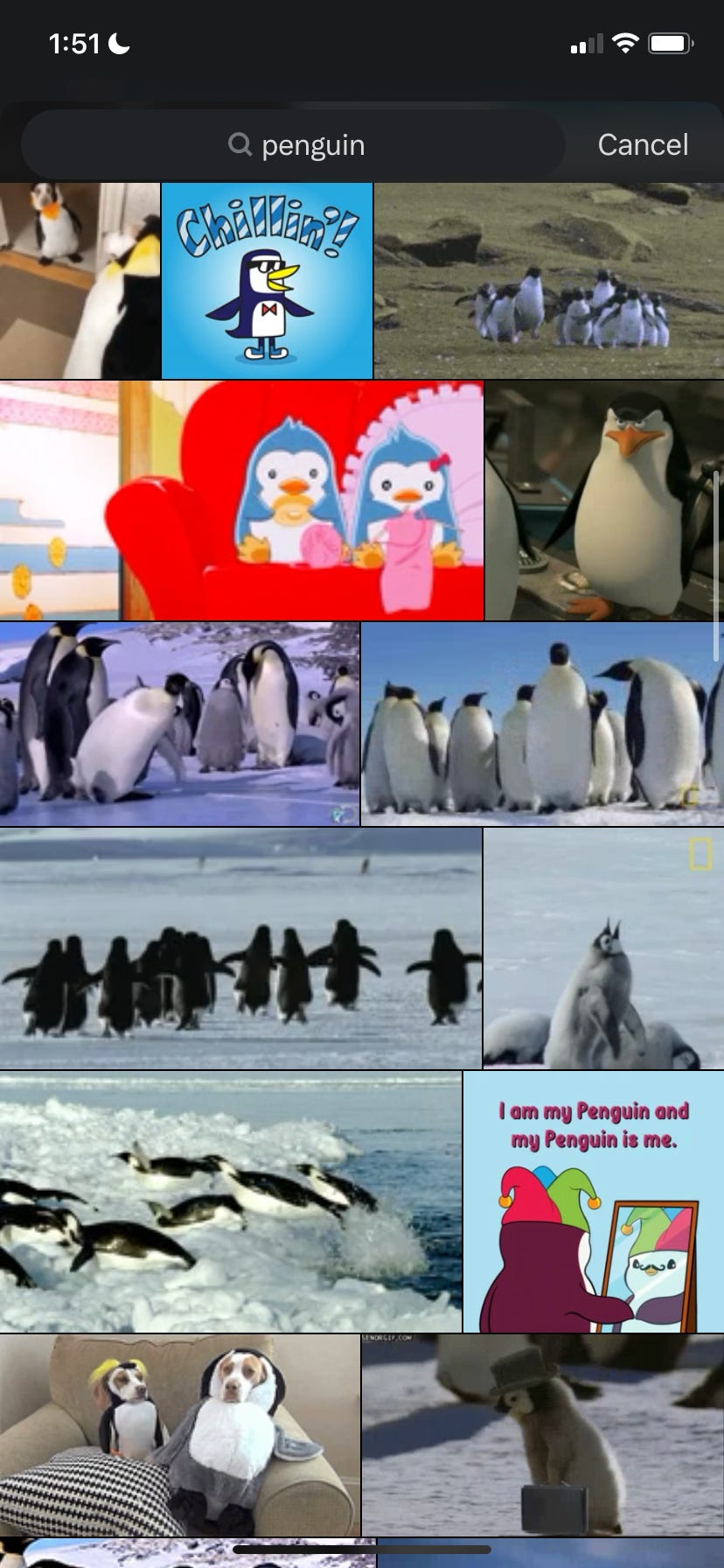 [Short #142] Pudgy Penguin's GIF Strategy - Web3 with TPan