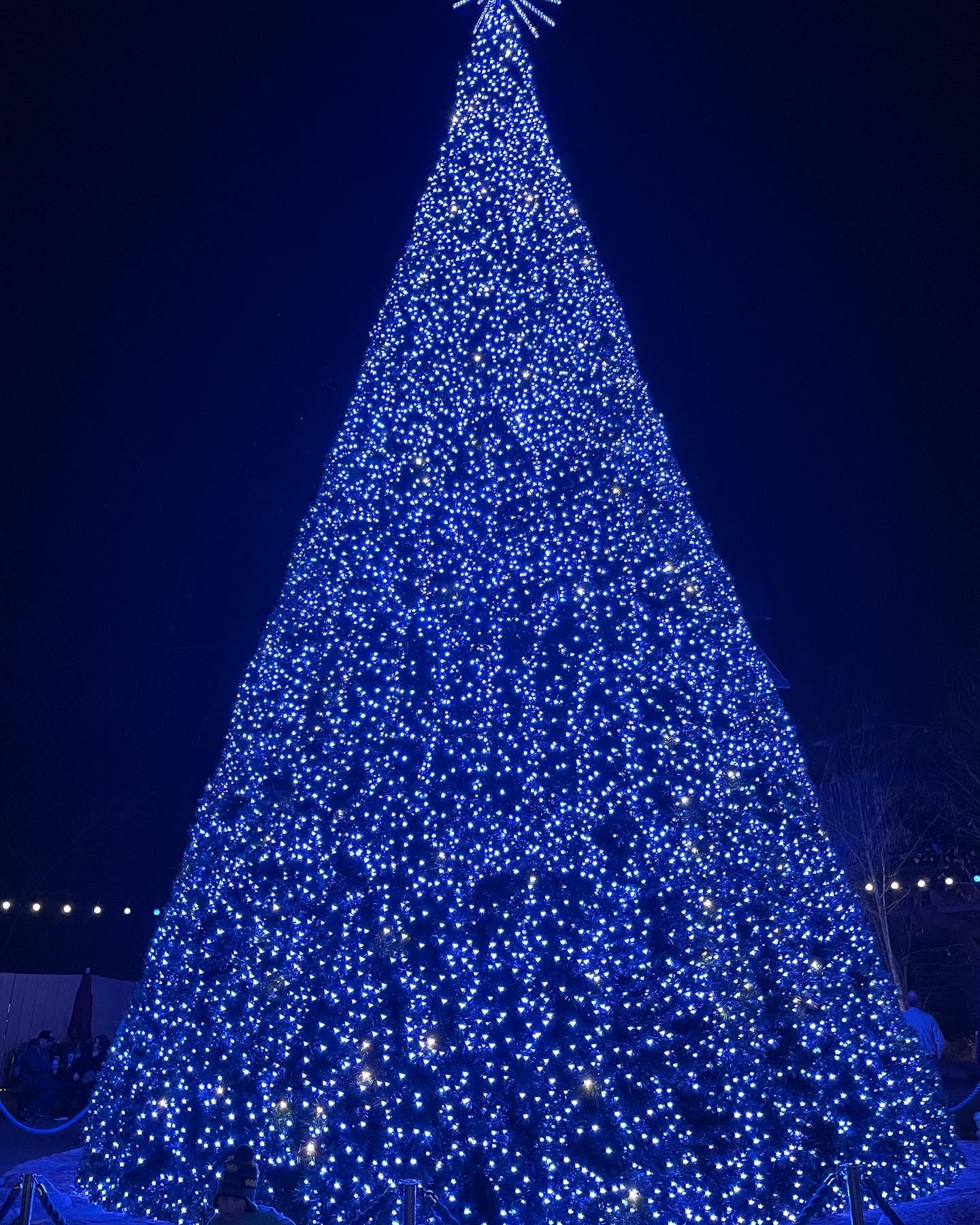 Jesus was not a robber - by Jim Richardson