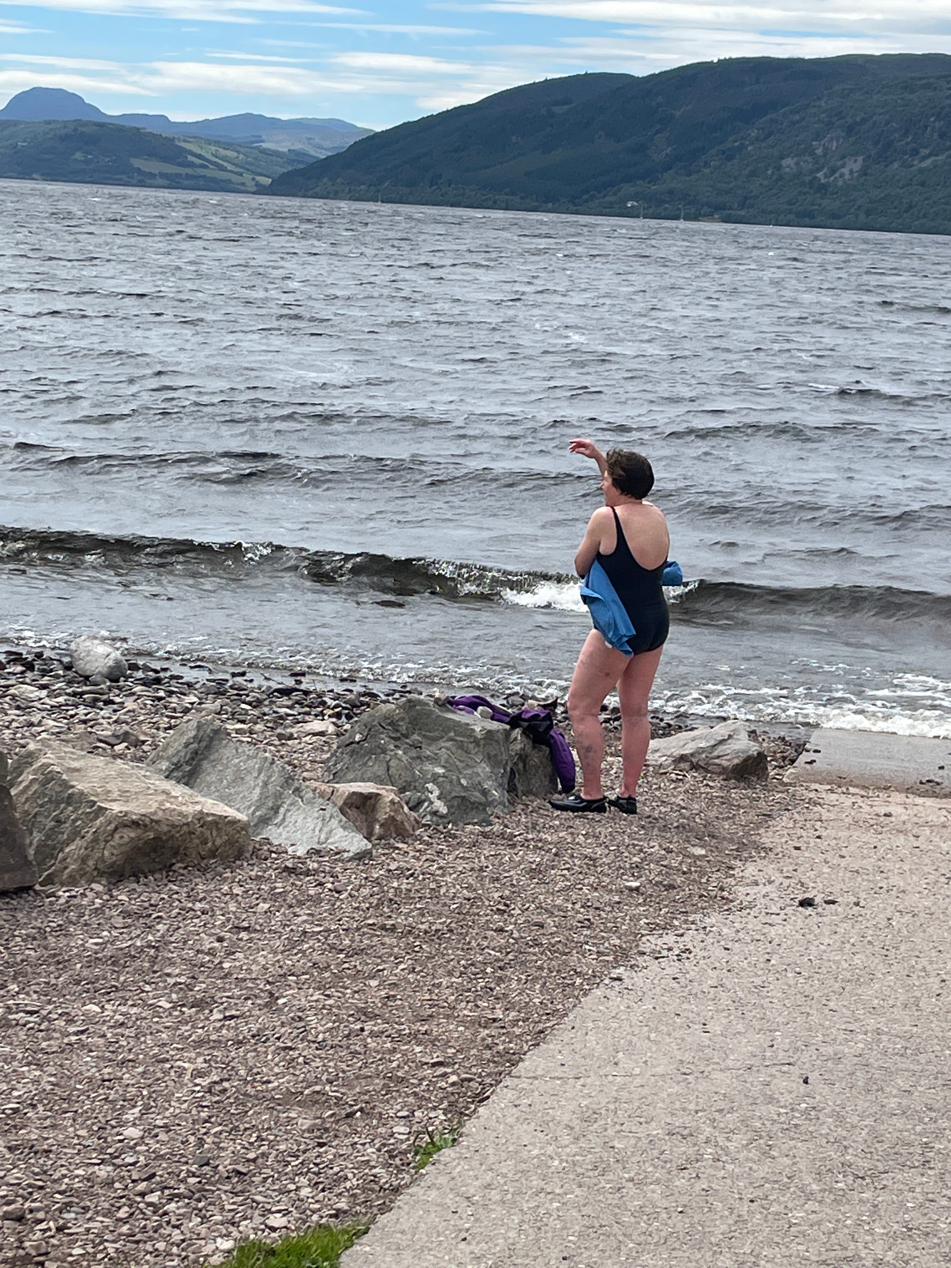 Wild Swimmer - by Meg Pokrass