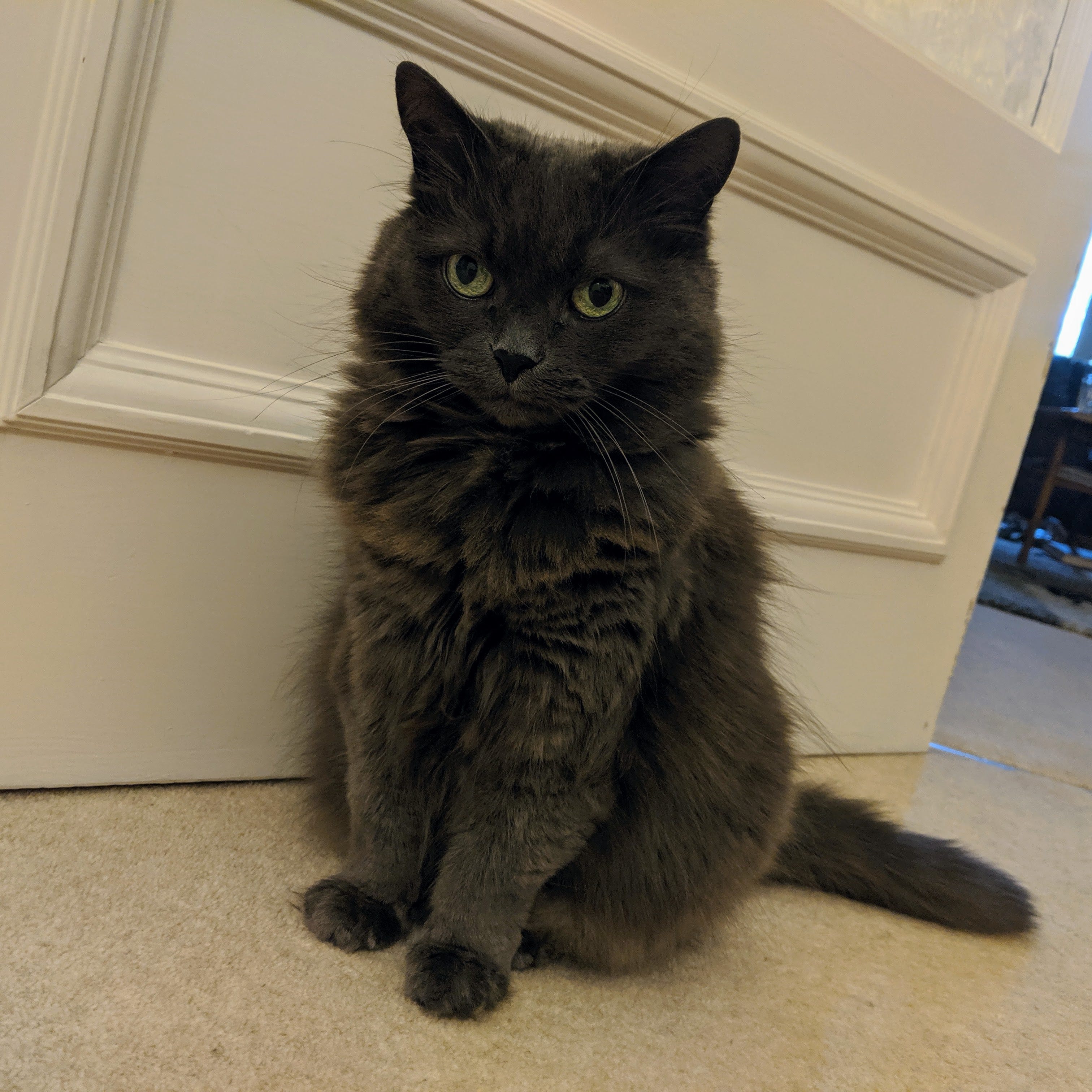 Oh blimey it's November - Jamie McKelvie’s Newsletter