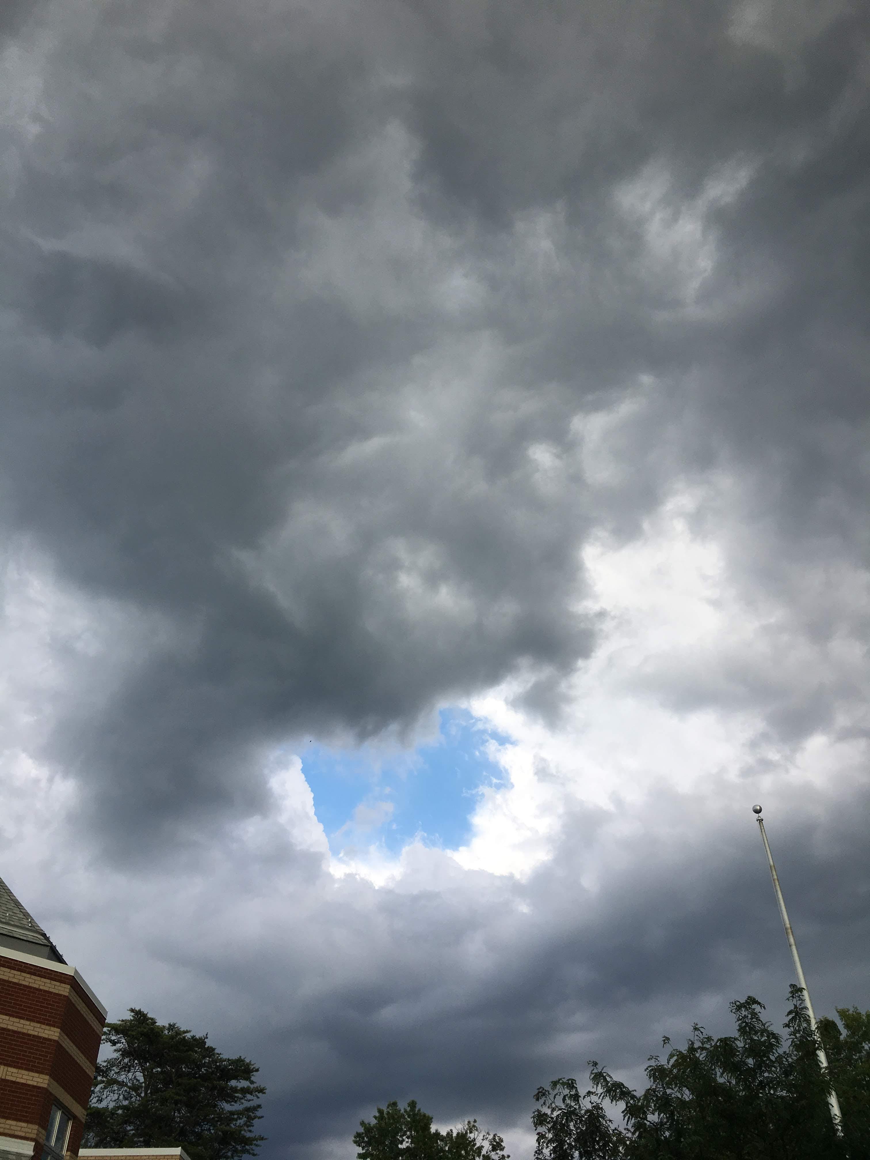 Introducing Whimsy and Pique - by Jane Ehrenfeld