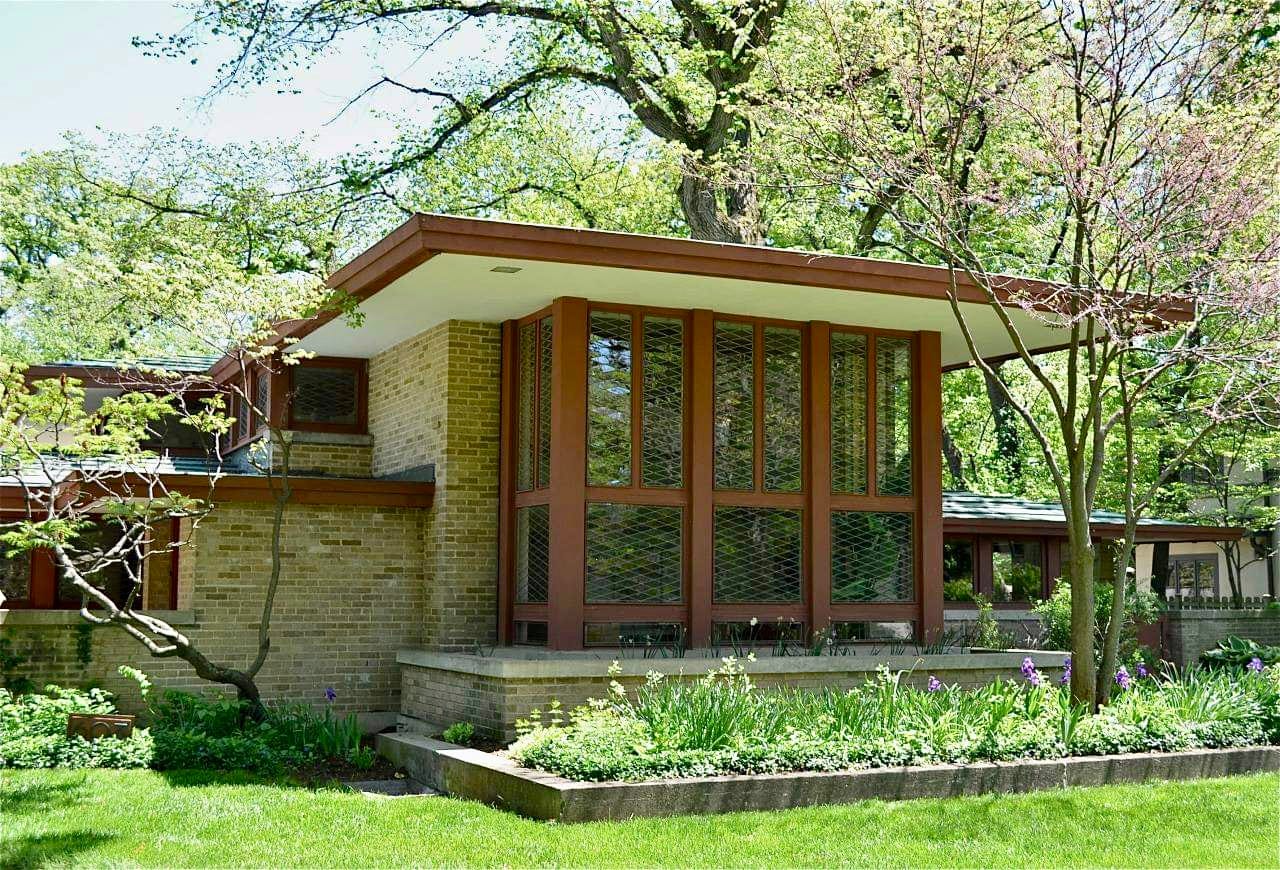 International Women's Day: Isabel Roberts